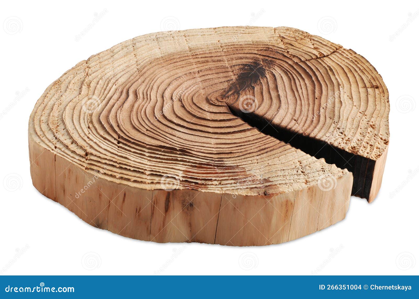 Cracked Tree Stump As Decorative Stand Isolated on White Stock Photo ...