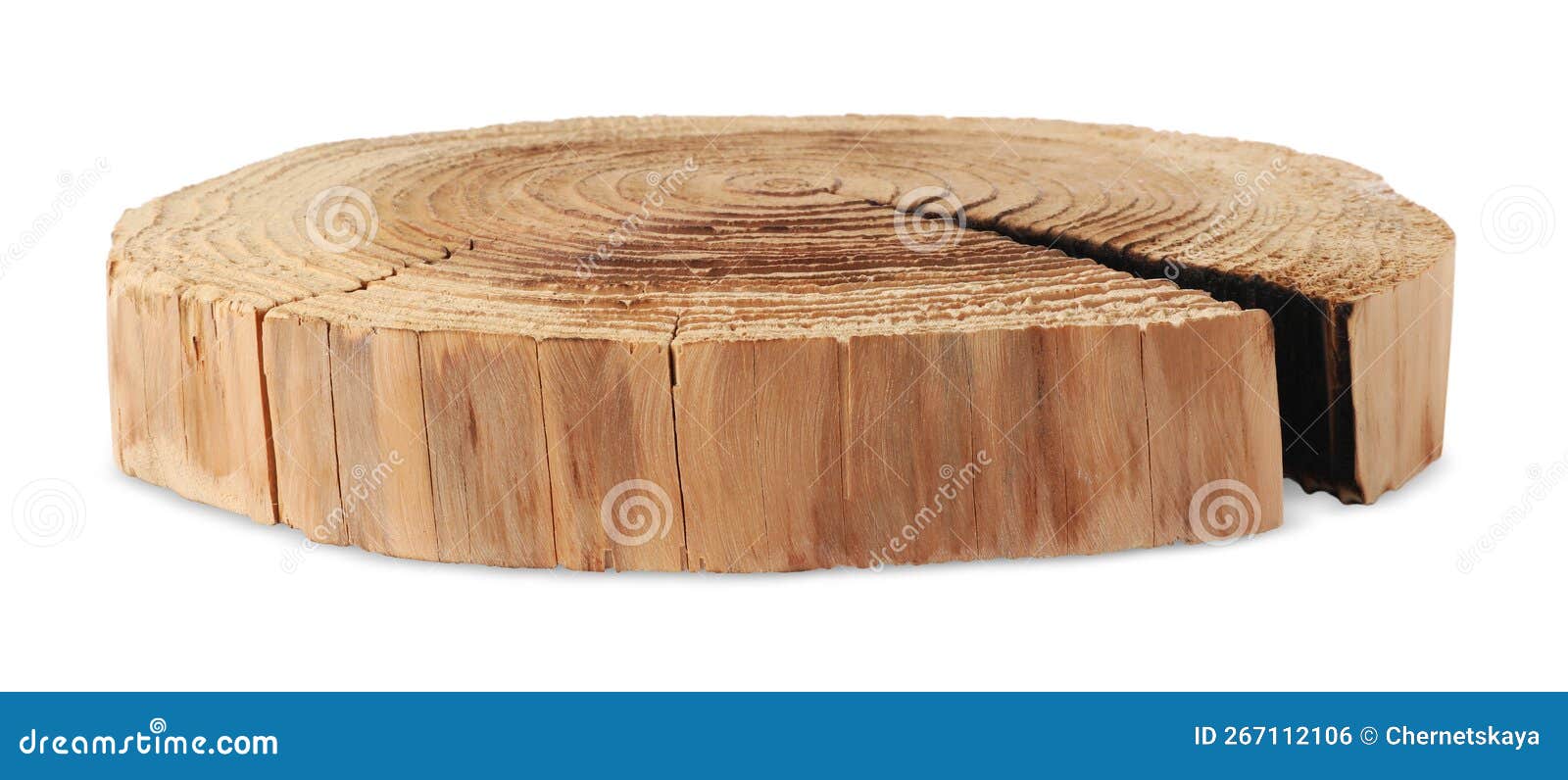 Cracked Tree Stump As Decorative Stand Isolated on White Stock Photo ...