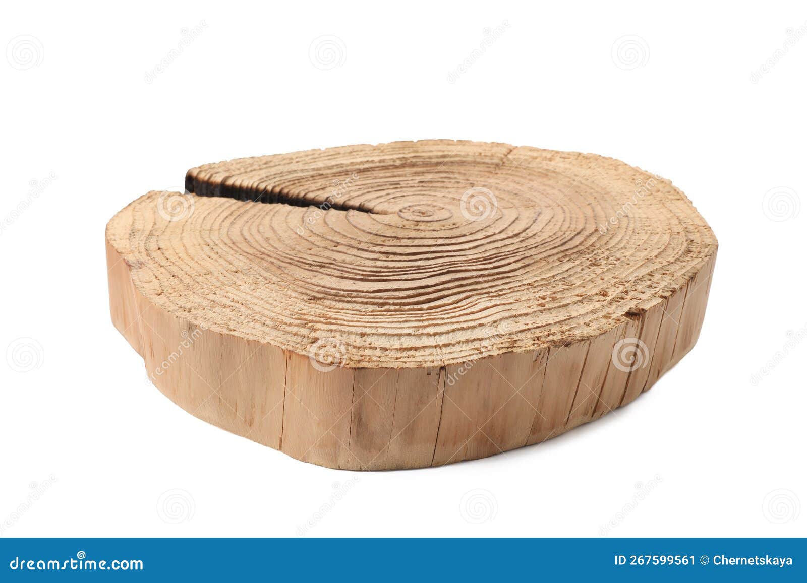 Cracked Tree Stump As Decorative Stand Isolated on White Stock Image ...