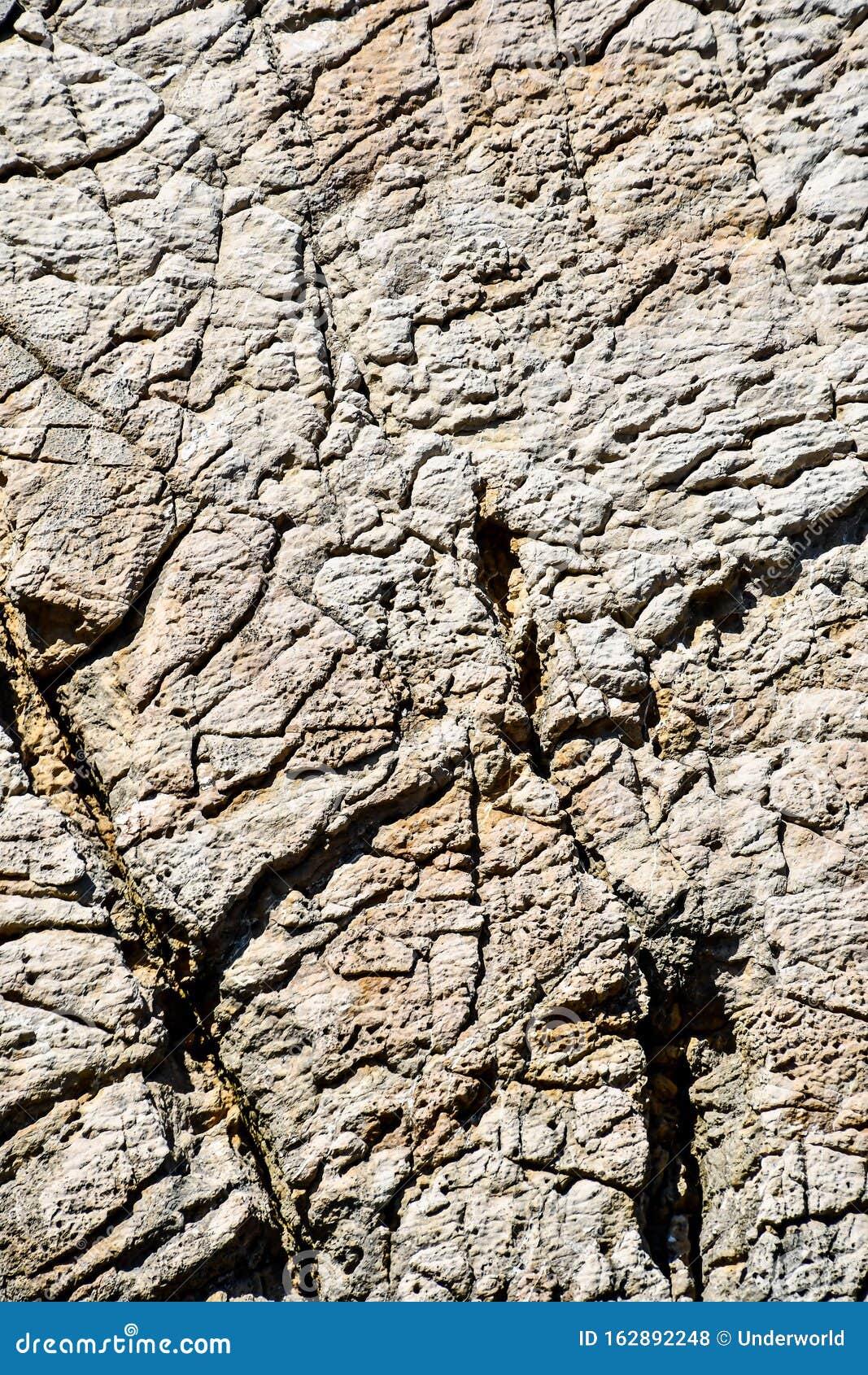 Cracked Tree Texture, Photo As a Background Stock Photo - Image of ...