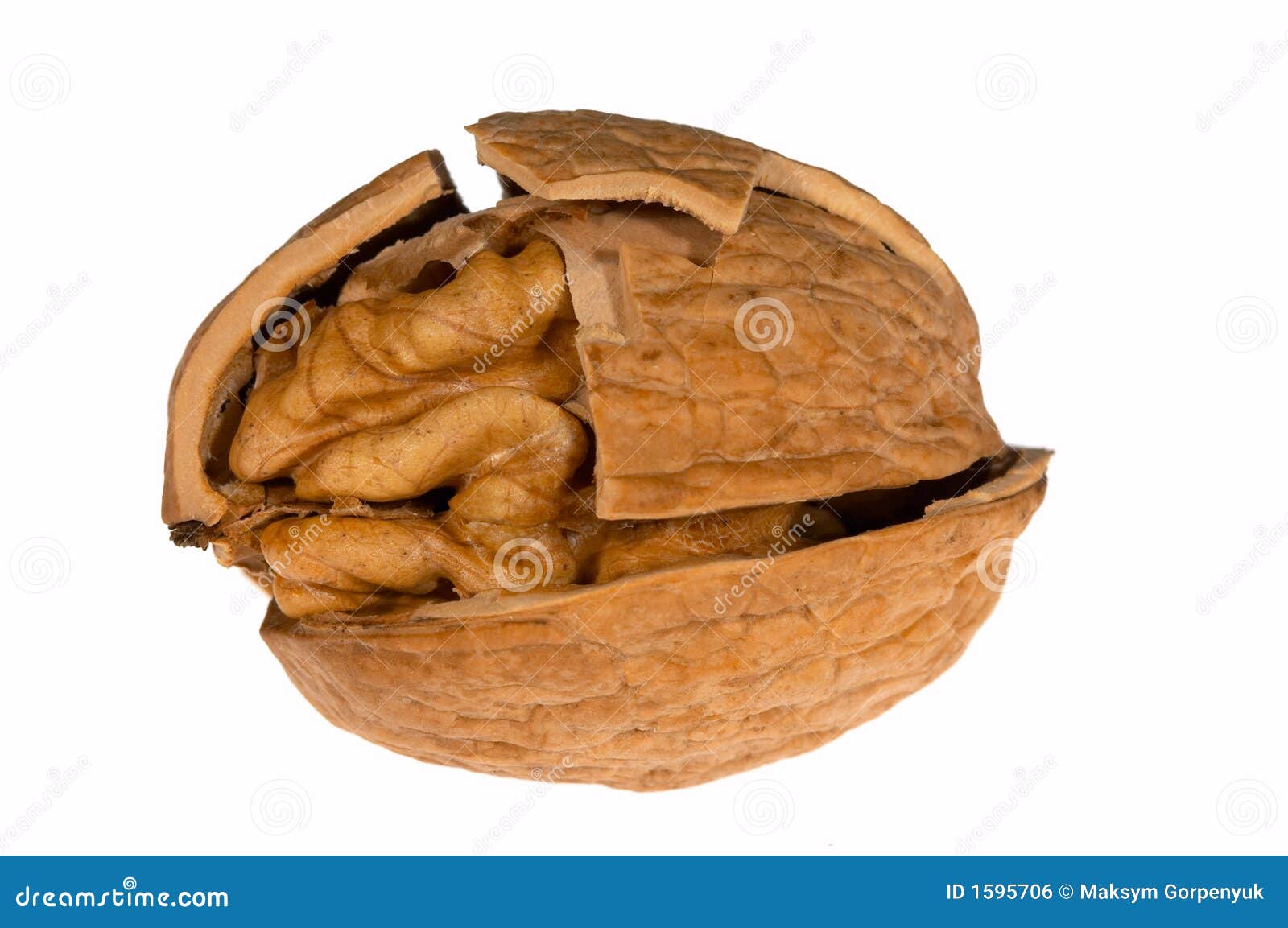Cracked walnut stock photo. Image of jaded, husks, natural - 1595706