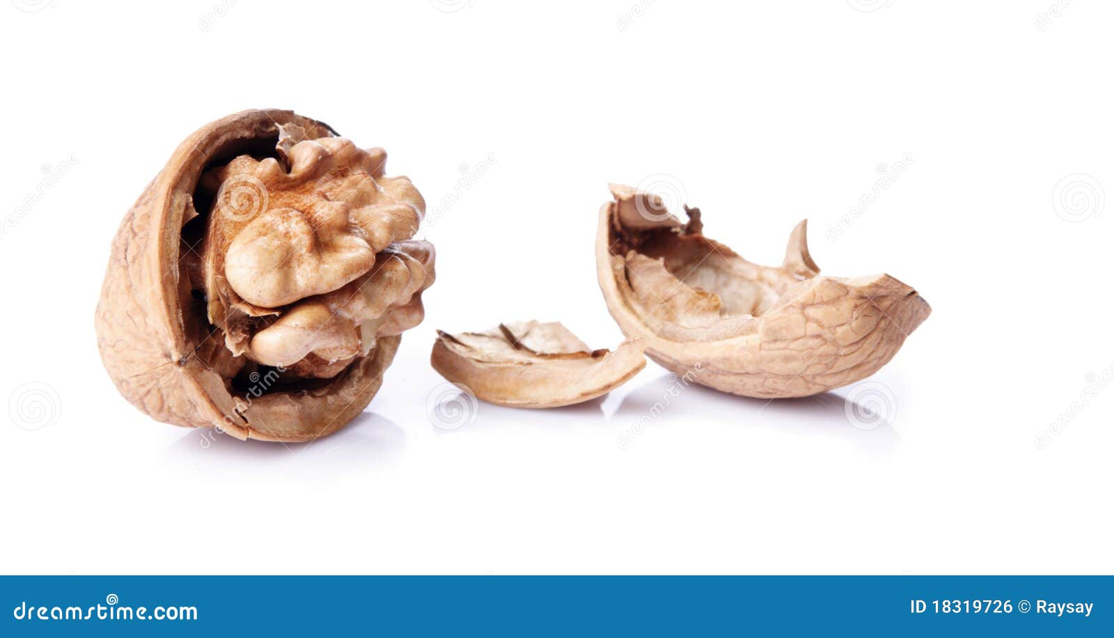 Cracked Walnut Shells With One Complete Walnut In The Middle. Pieces Of ...