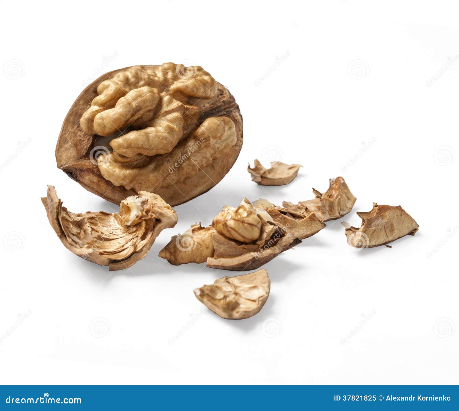 Cracked walnut stock image. Image of shell, nature, natural - 37821825