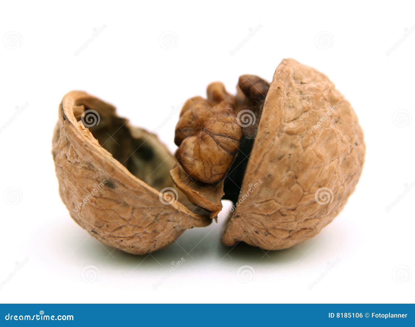 Cracked Walnut Shells With One Complete Walnut In The Middle. Pieces Of ...