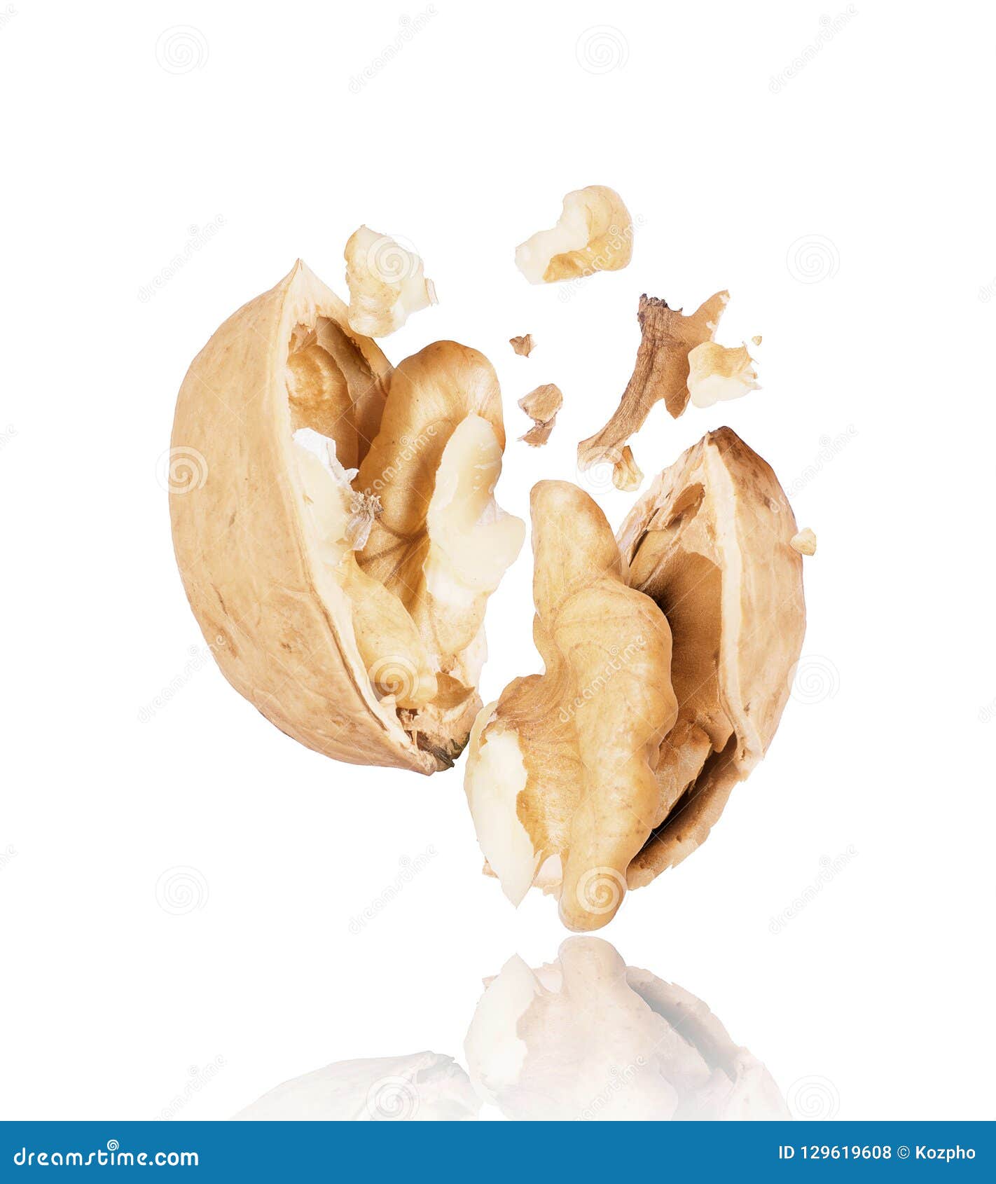 Cracked Walnut Close-up Isolated on White Background Stock Photo ...