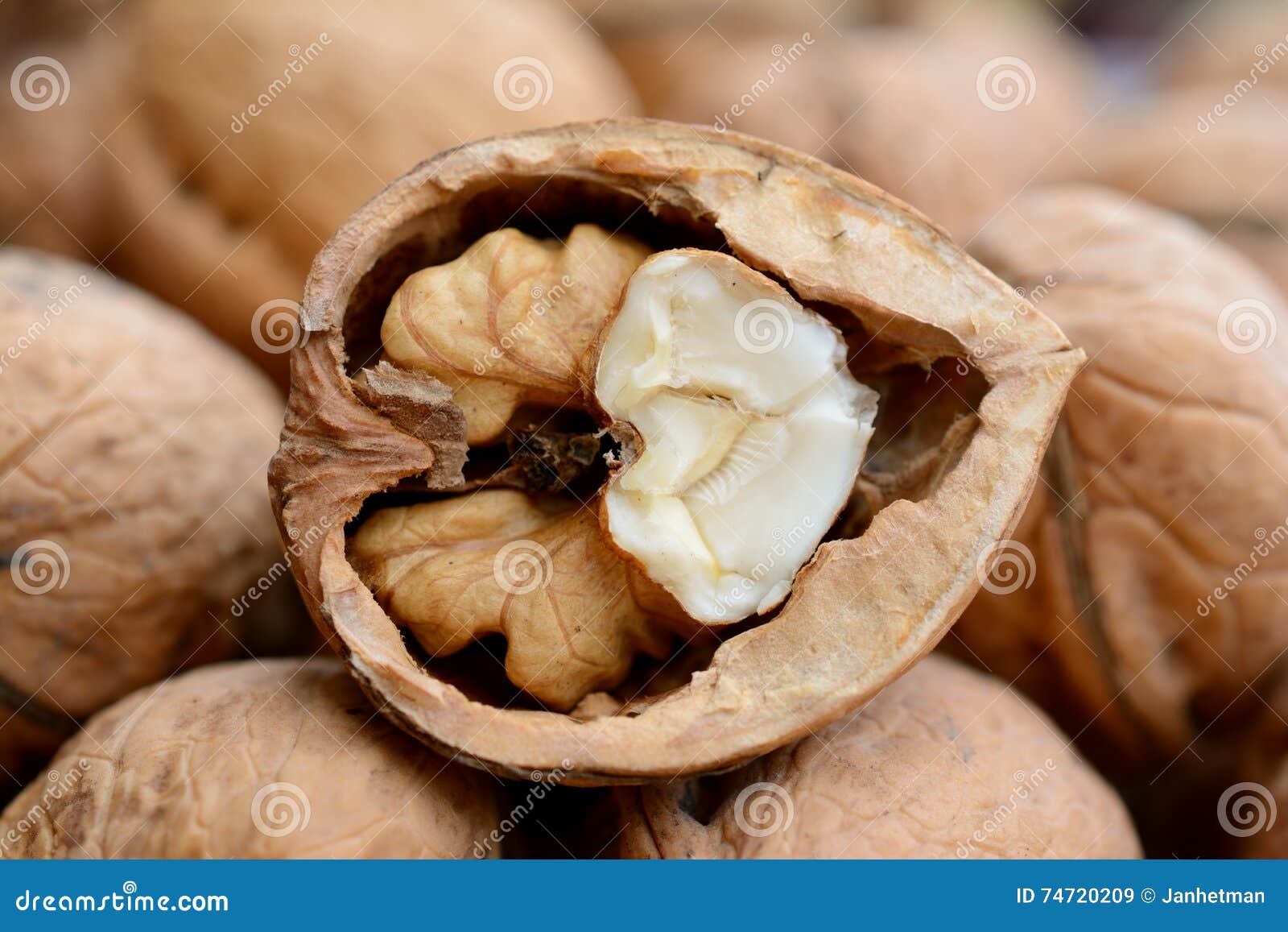 Cracked walnut closeup stock image. Image of cracked - 74720209