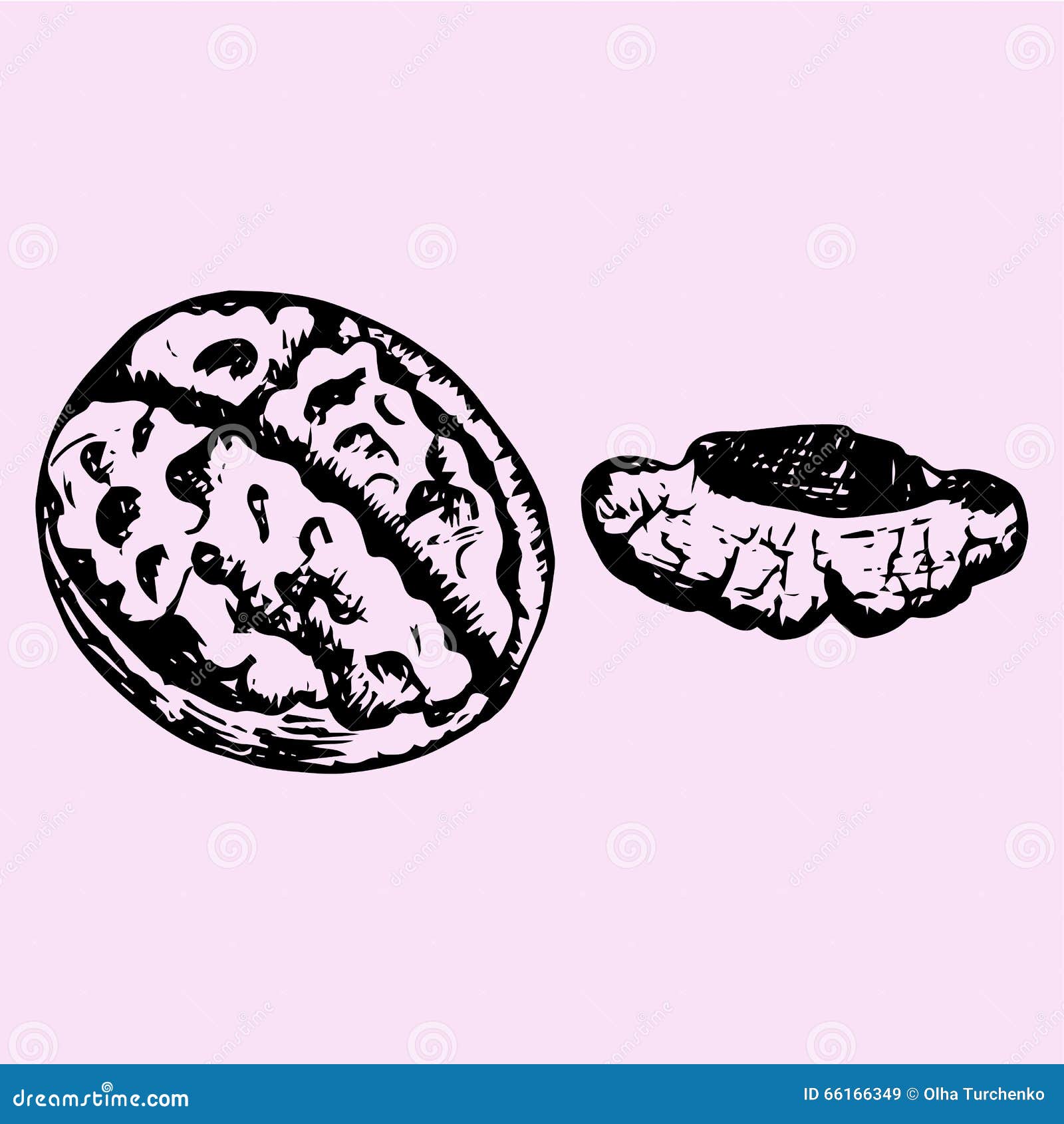 Walnut, Cracked Walnut, Walnuts Kernels, Logo Design. Nut, Food, Plant ...