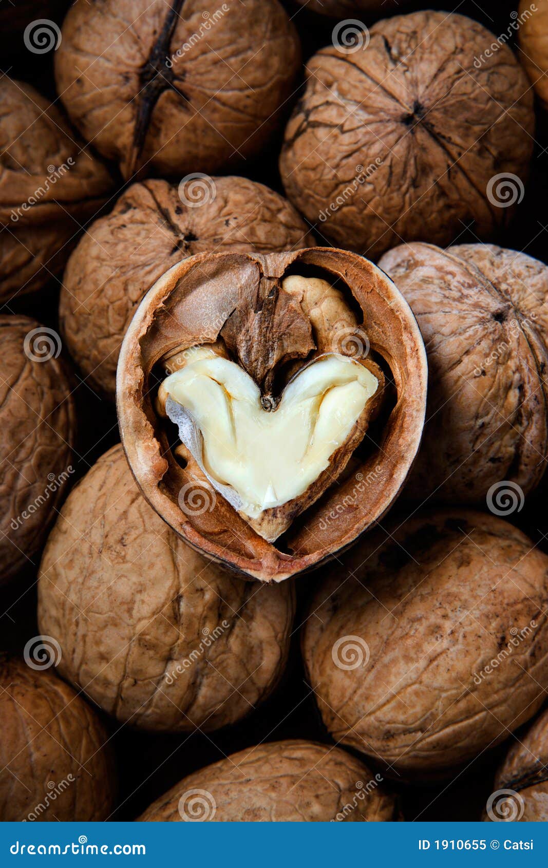 Cracked Walnut Shells With One Complete Walnut In The Middle. Pieces Of ...
