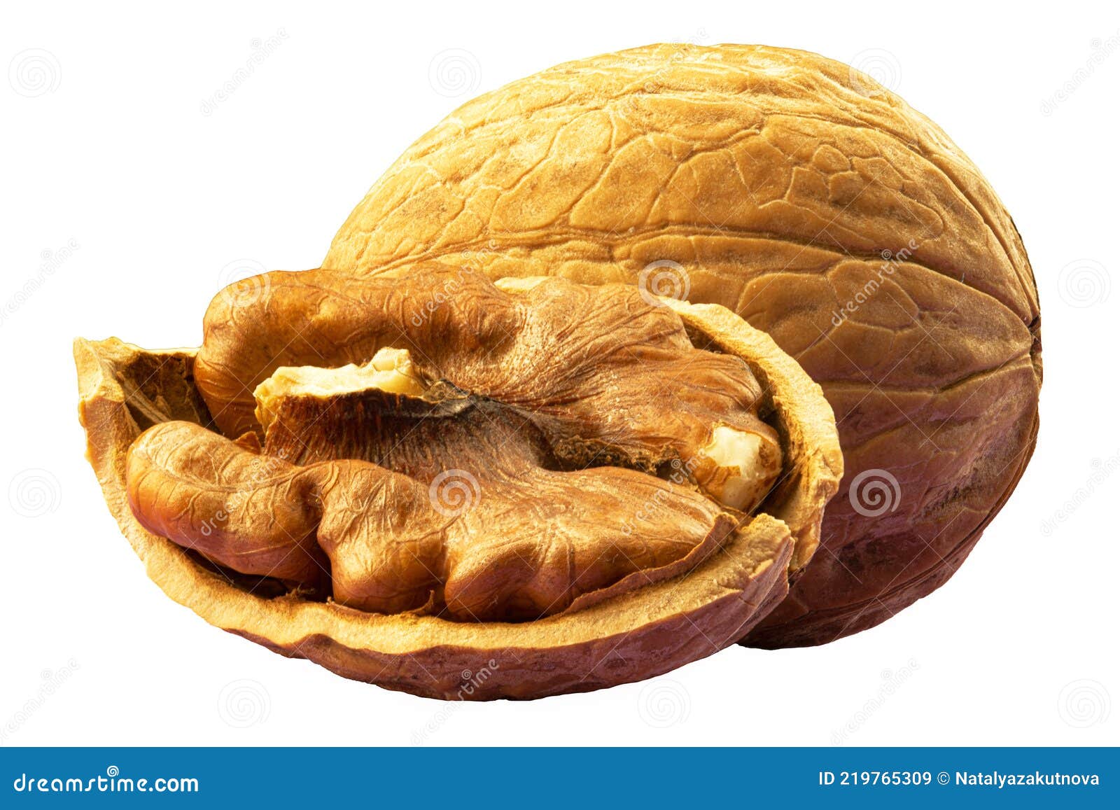 Cracked Walnut Isolated on the White Stock Image - Image of healthy ...