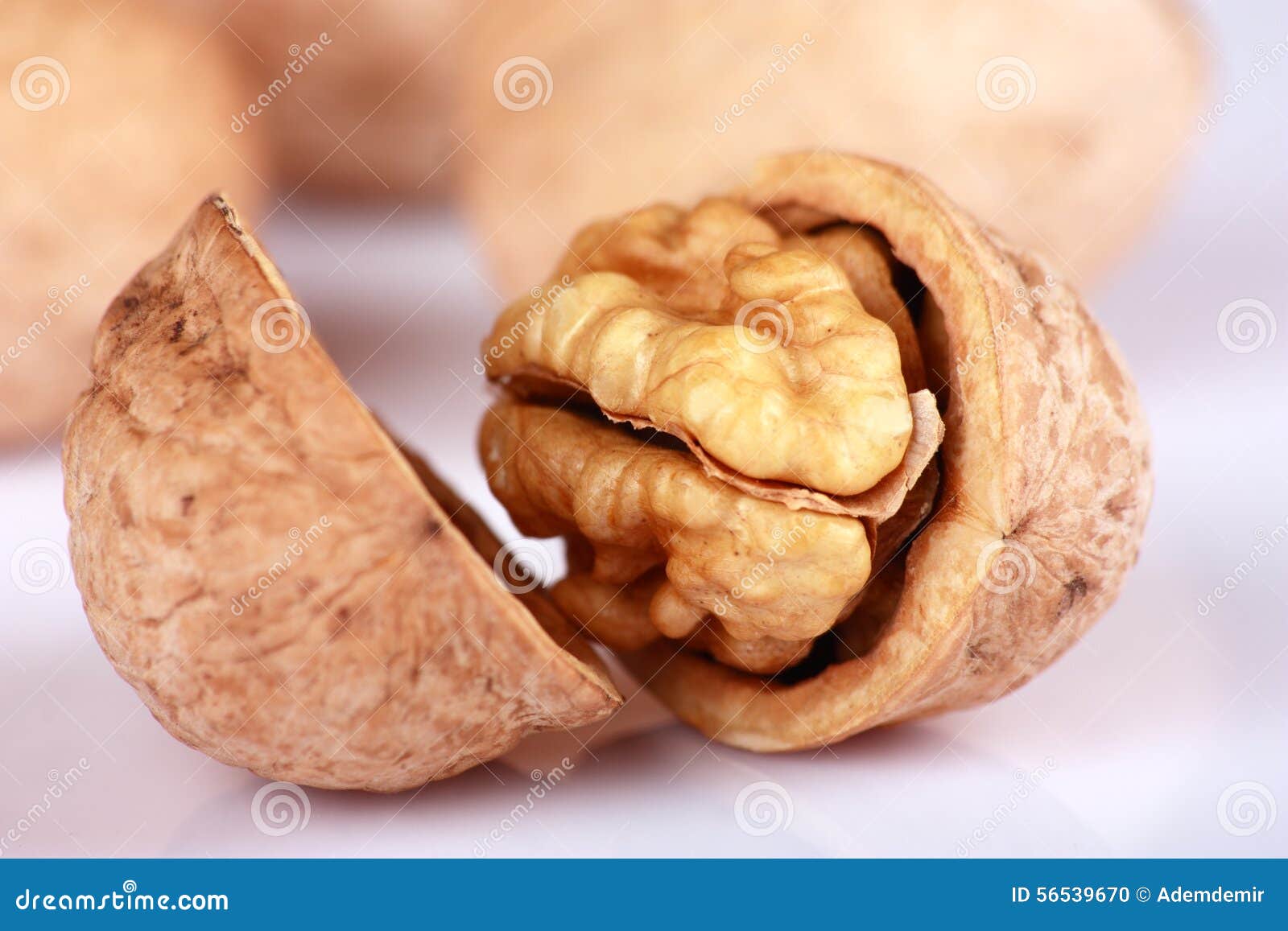 Walnut macro shot stock photo. Image of shell, nutty - 56539670