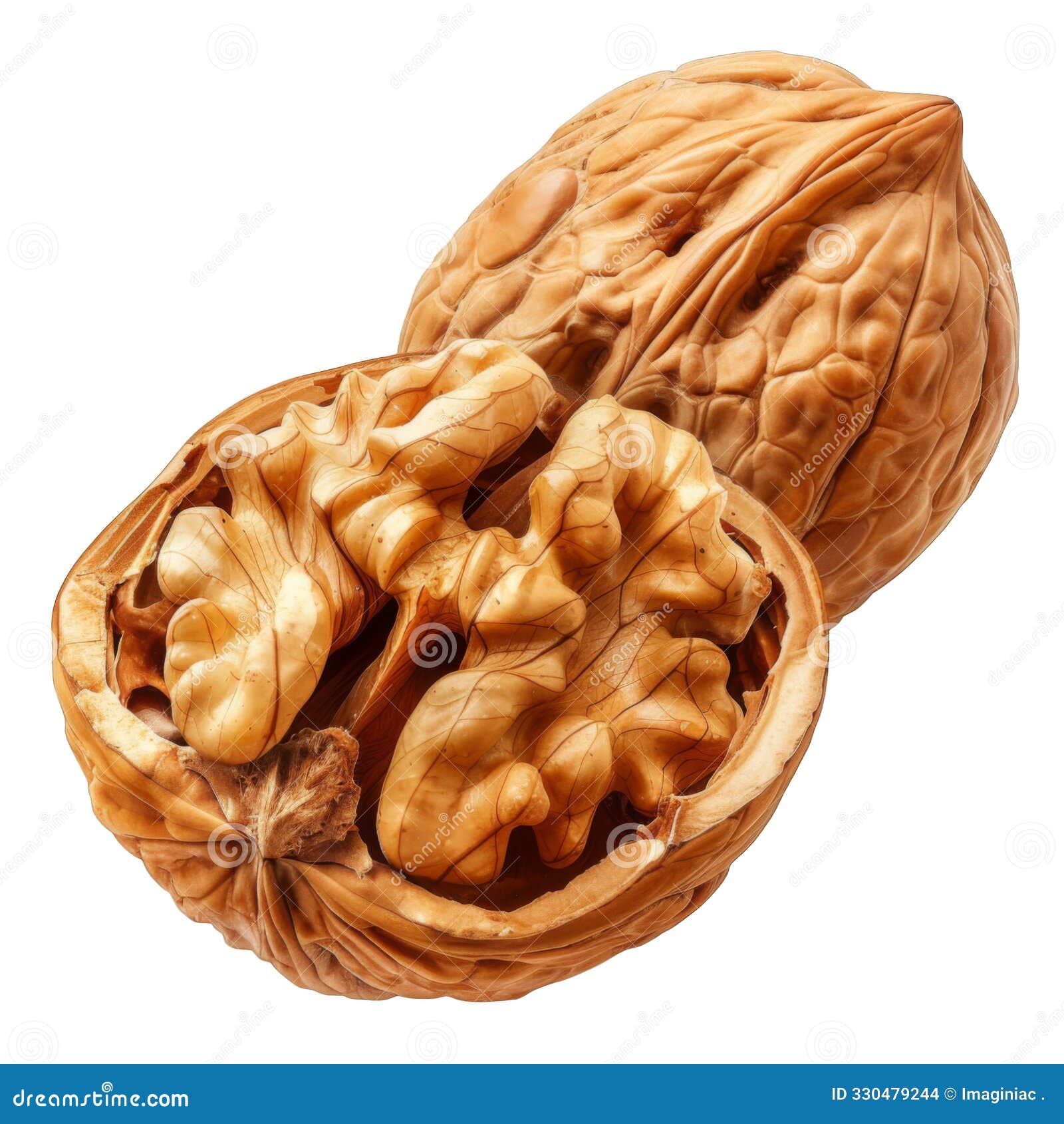 Walnut In Shell With Leaves And Peeled Kernels, Vector Illustration On ...