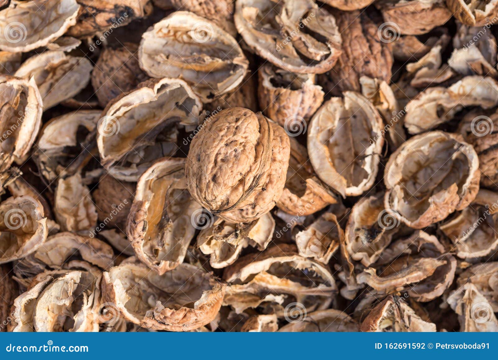 Cracked Walnut Shells with One Complete Walnut in the Middle. Pieces of ...