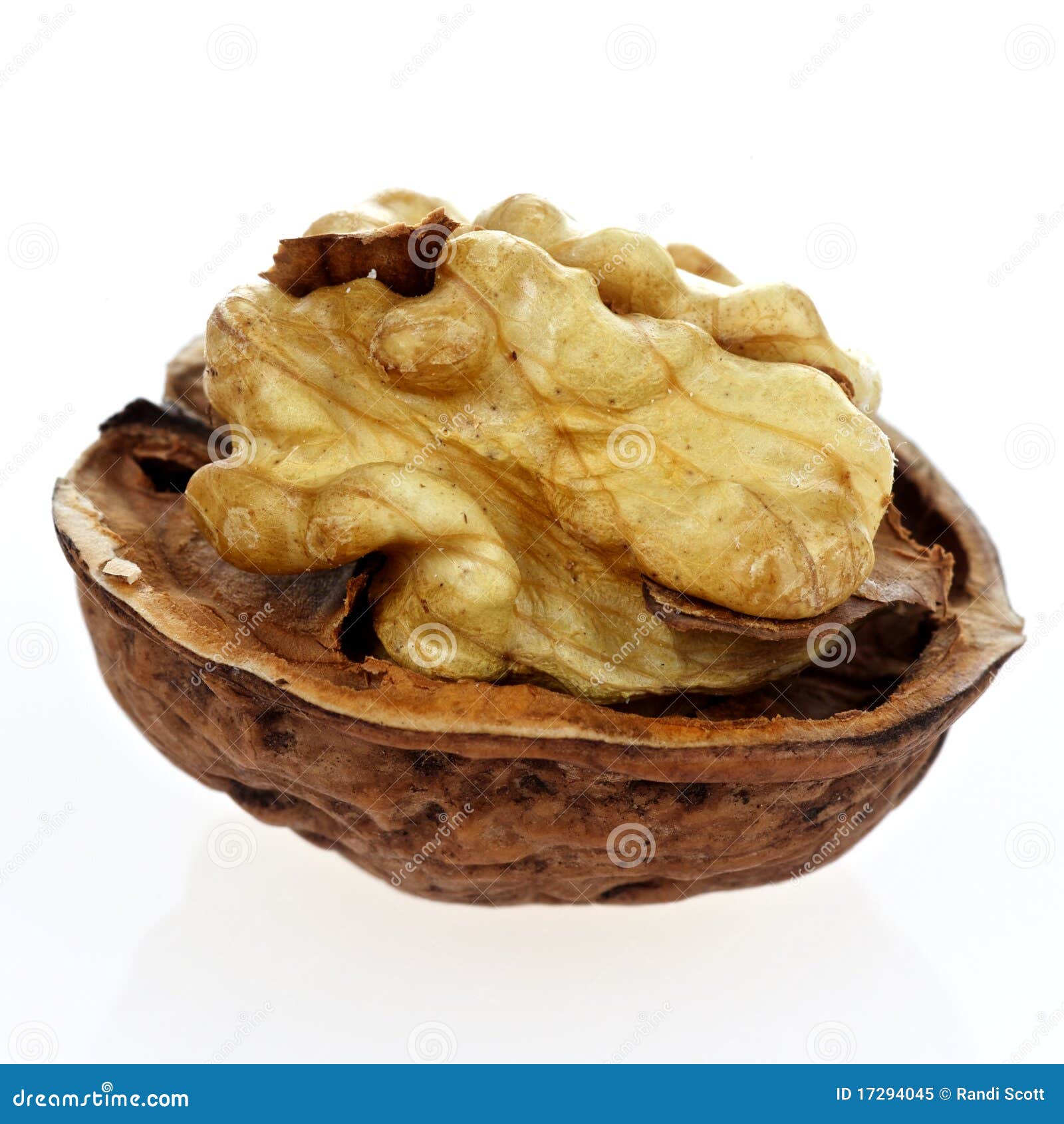 Cracked Walnut Shells With One Complete Walnut In The Middle. Pieces Of ...