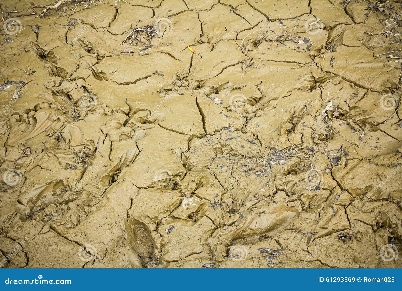 Cracked wet mud. stock image. Image of dirt, cracked - 61293569