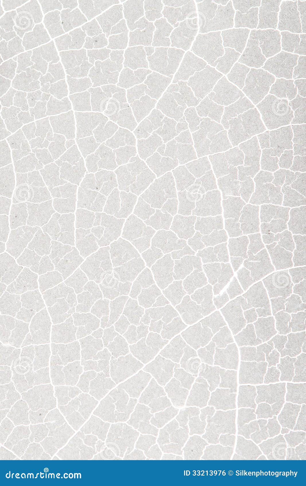 Cracked White Abstract stock photo. Image of aging, grungy - 33213976