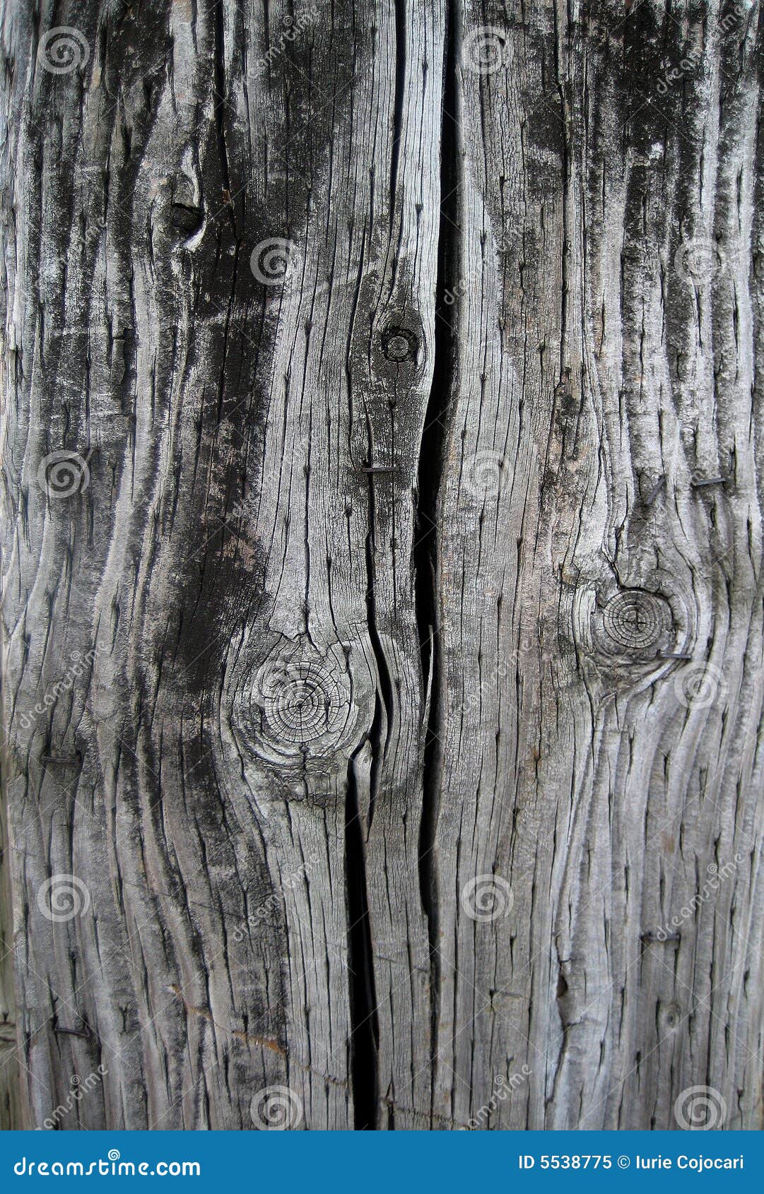 Cracked Wood Picture. Image: 5538775