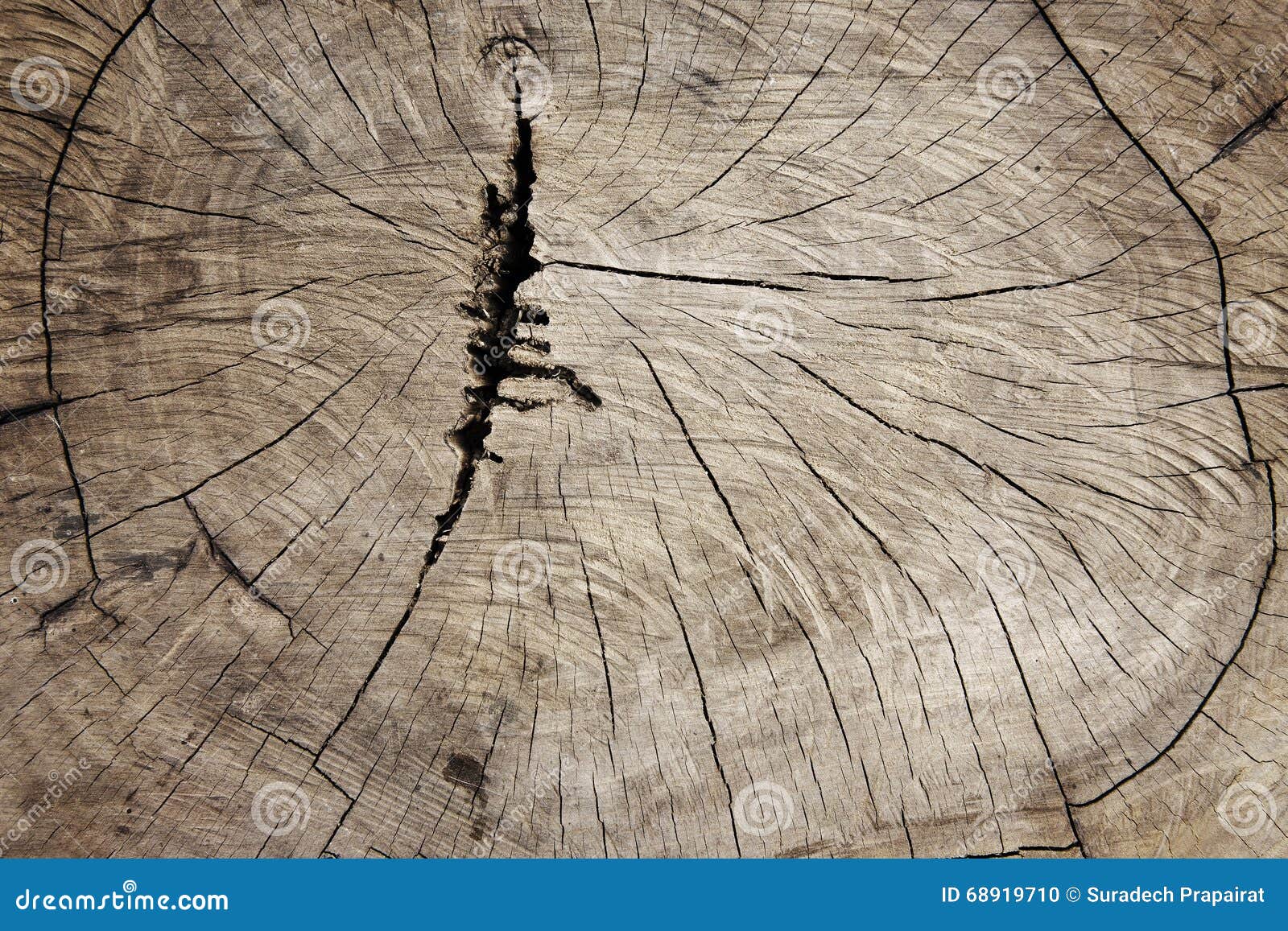 Cracked wood board stock photo. Image of natural, round - 68919710