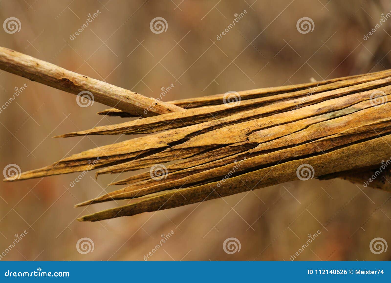 Cracked wood stock photo. Image of cracked, tree, pointed - 112140626