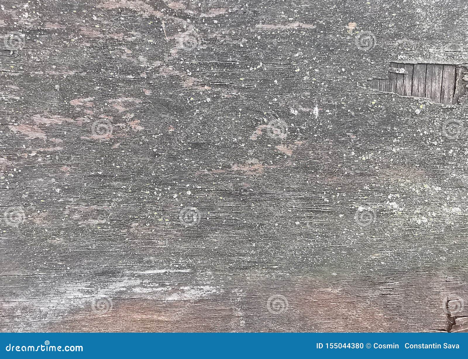 Cracked wood plank surface stock photo. Image of panel - 155044380