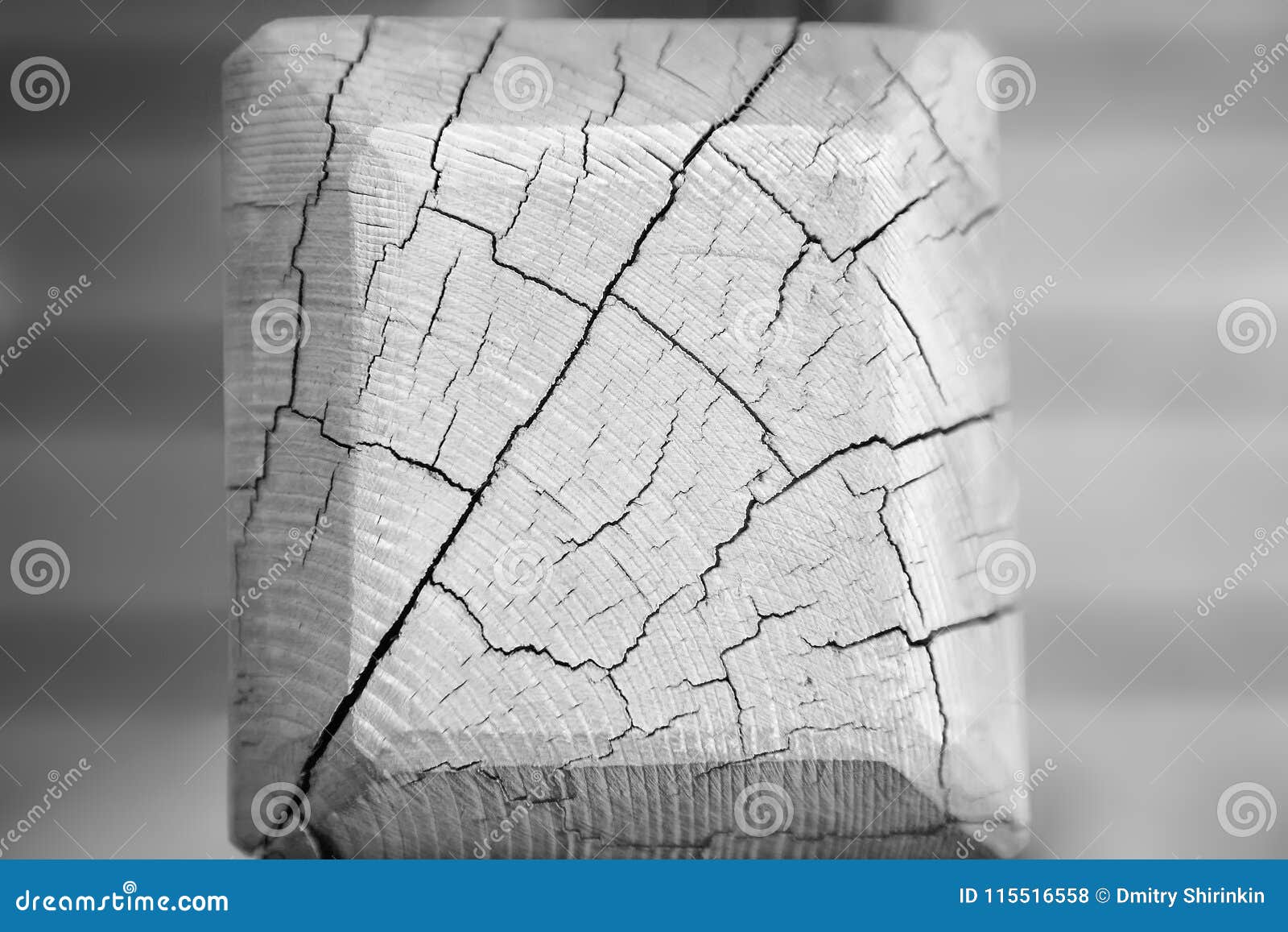 Cracked wood texture stock photo. Image of cracked, abstract - 115516558