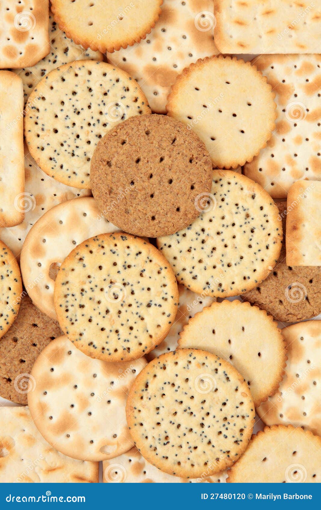 Cracker Biscuits stock photo. Image of healthy, golden - 27480120