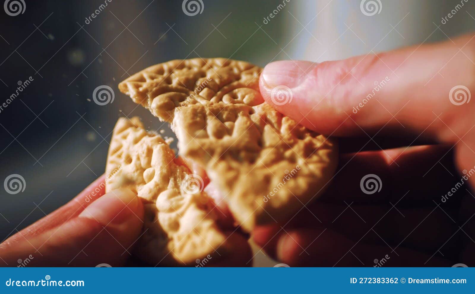 Cracker Broken in Two Pieces Stock Photo - Image of breakfast, hand ...