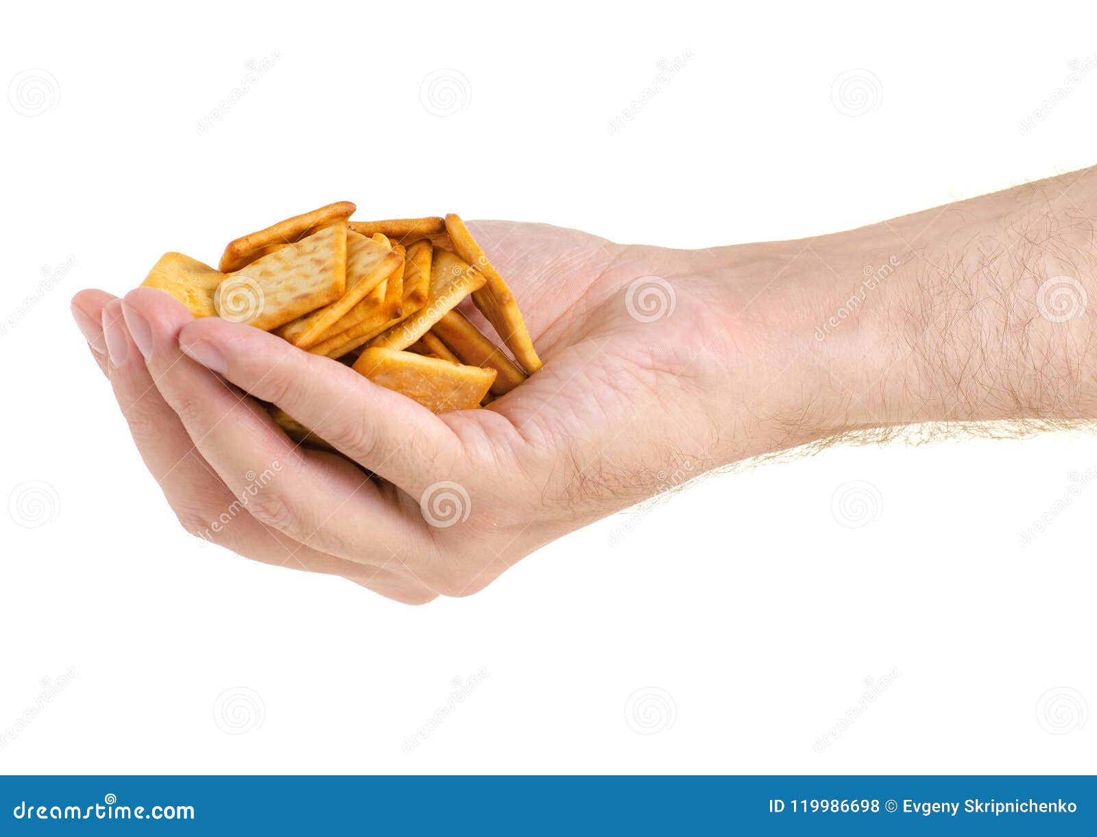 Cracker in hand stock photo. Image of holding, lunch - 119986698