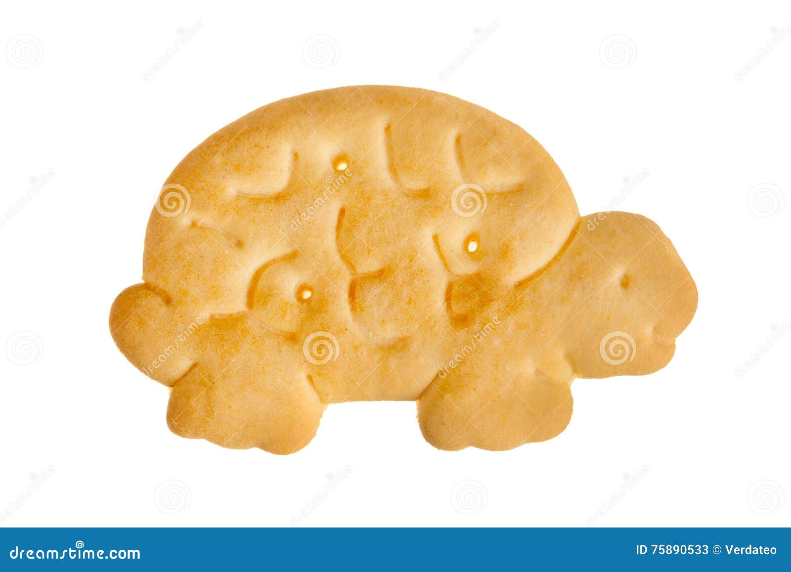 Cracker in Shape of a Turtle Stock Image - Image of sweet, shaped: 75890533