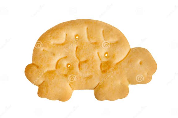Cracker in Shape of a Turtle Stock Image - Image of sweet, shaped: 75890533
