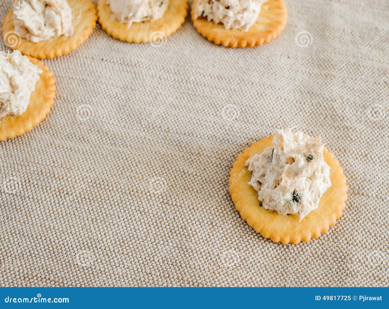 Cracker with tuna spread stock image. Image of dairy - 49817725