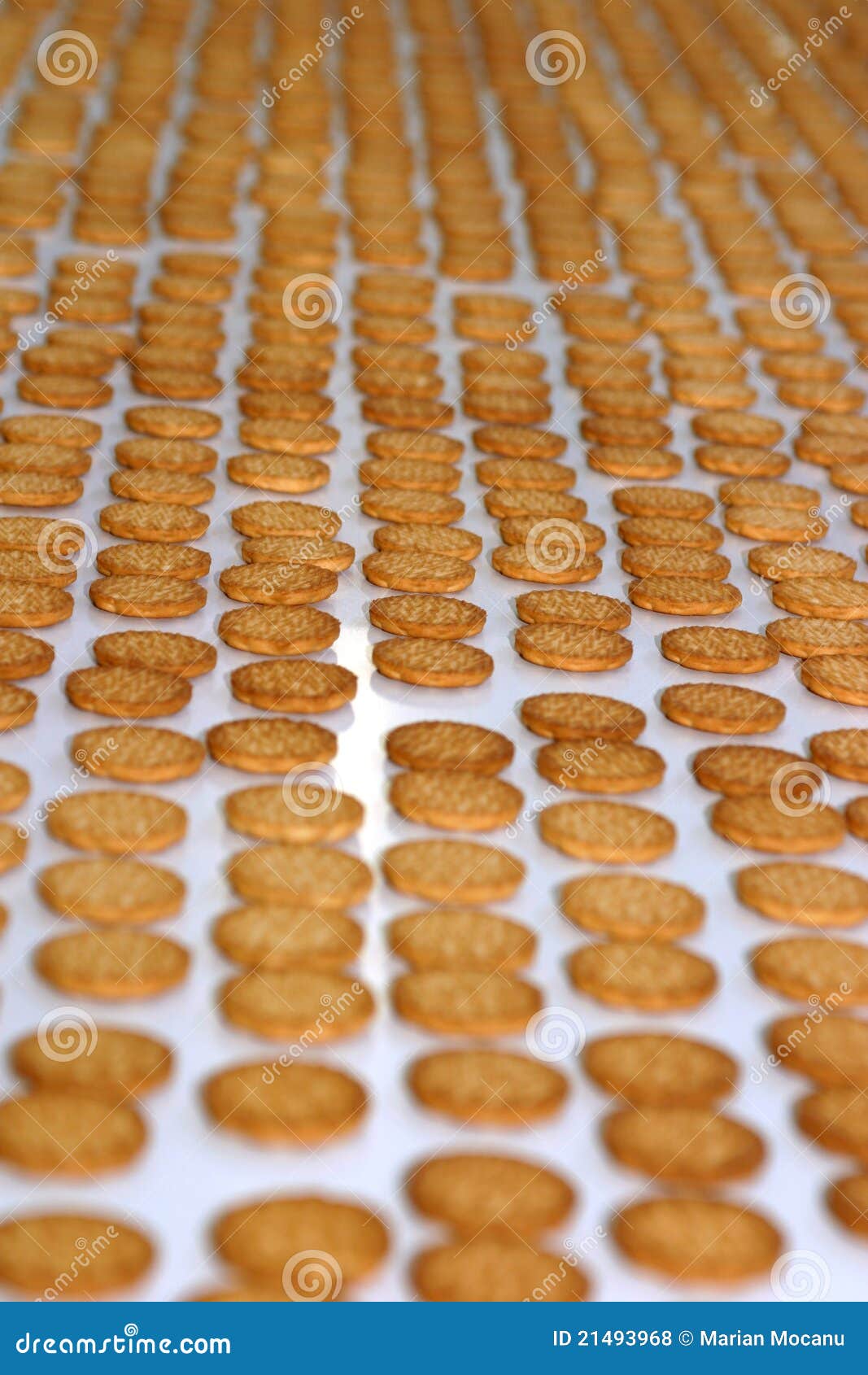 Crackers stock photo. Image of beverages, hungry, candy - 21493968