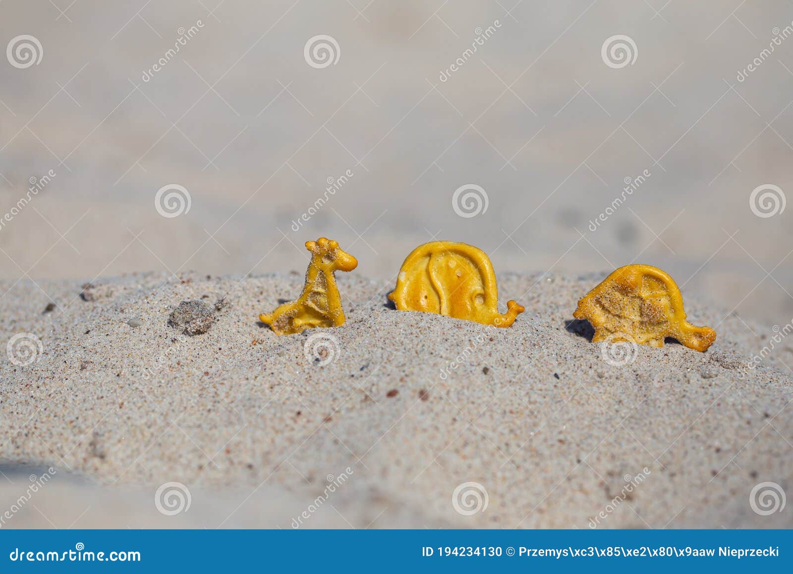 Crackers in the Sand on the Beach Stock Photo - Image of holidays ...