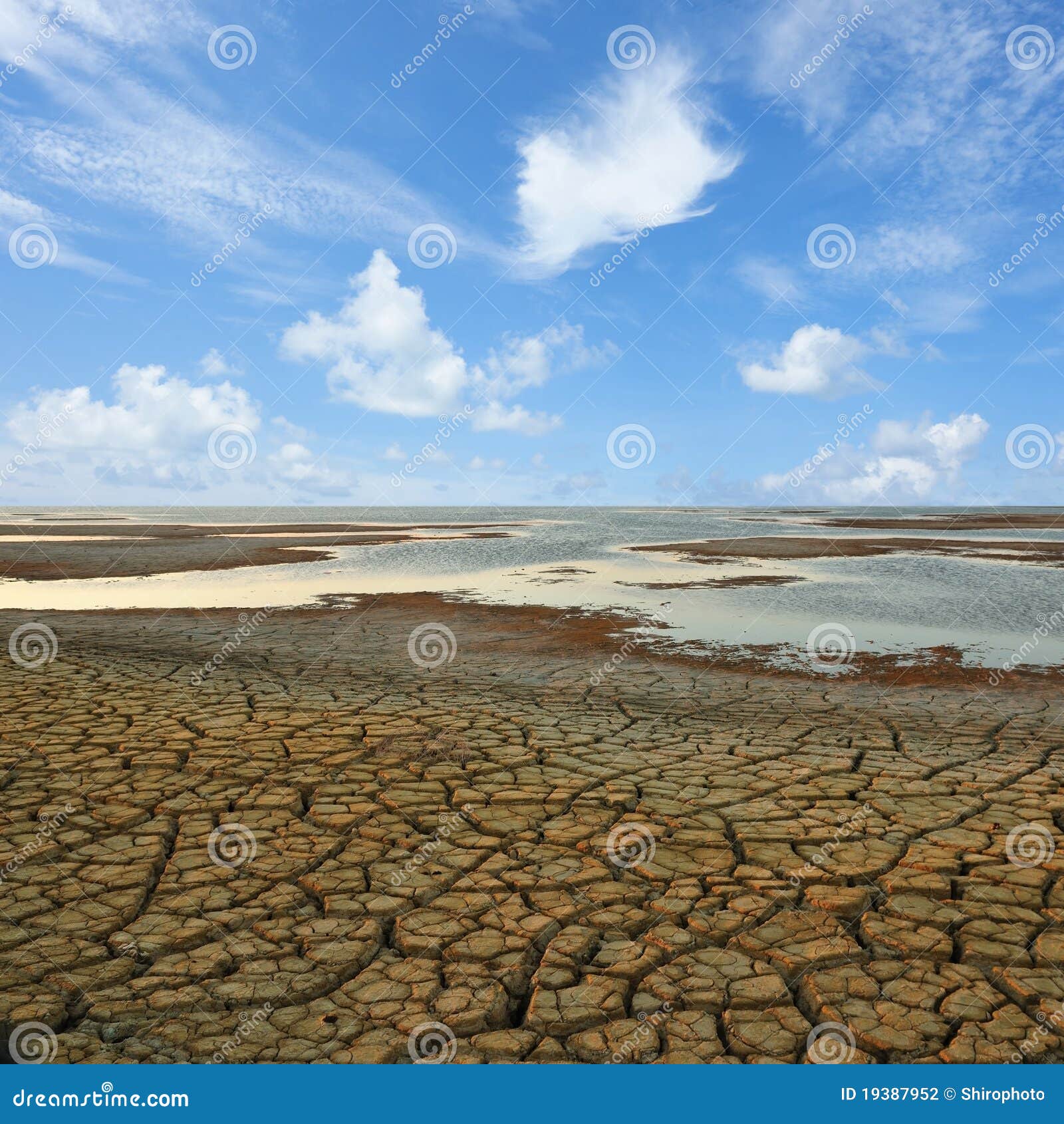 Cracking earth stock photo. Image of crack, plateau, lifeless - 19387952