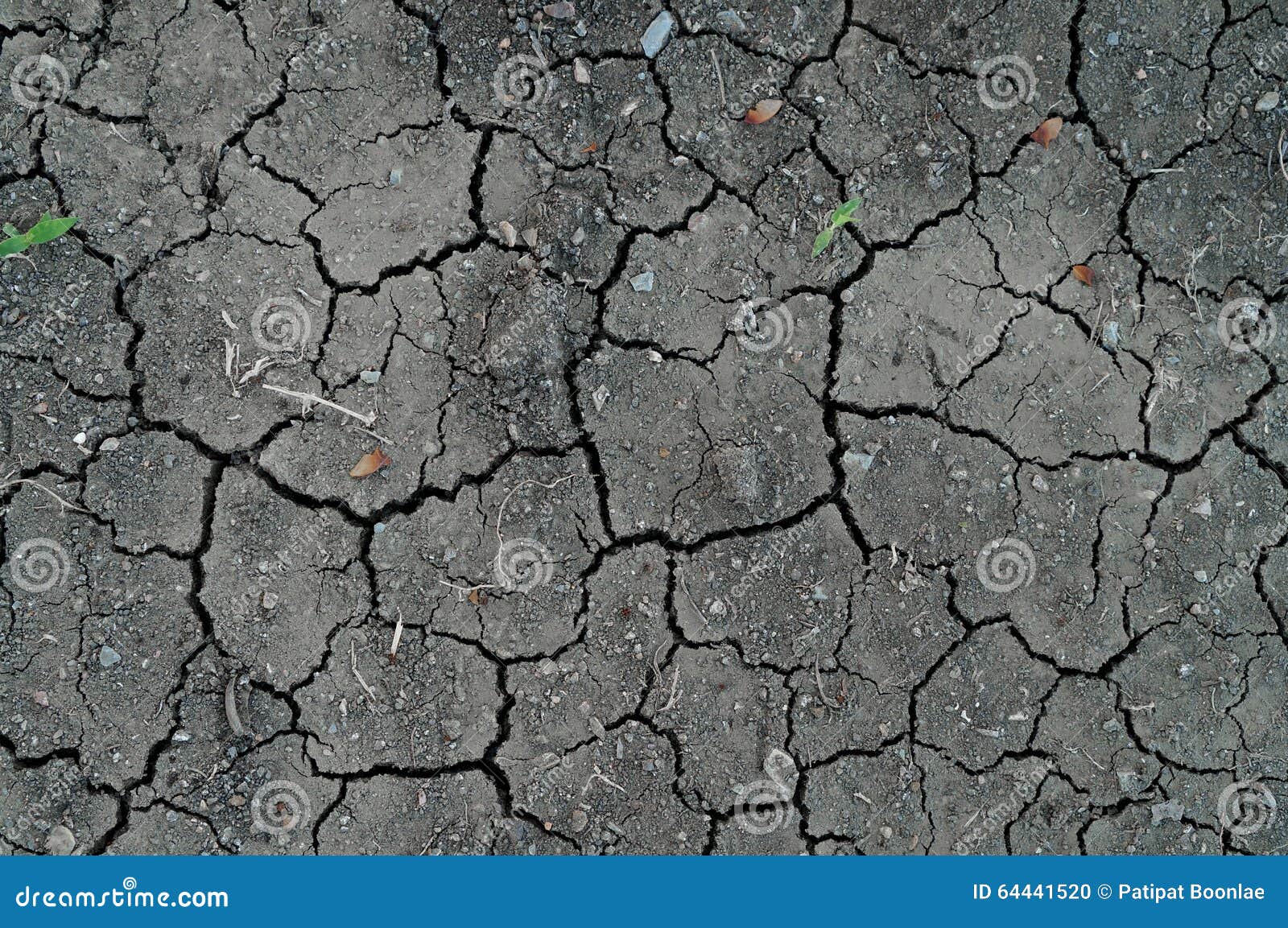 Cracking Ground Texture Stock Photography | CartoonDealer.com #64441520