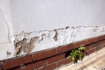 Cracking and Peeling Paint Due To Rising Damp Stock Image - Image of ...