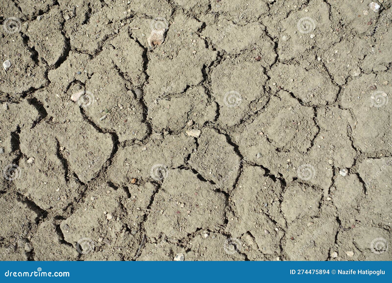 Erosion Caused by Drought and Desertification Stock Photo - Image of ...