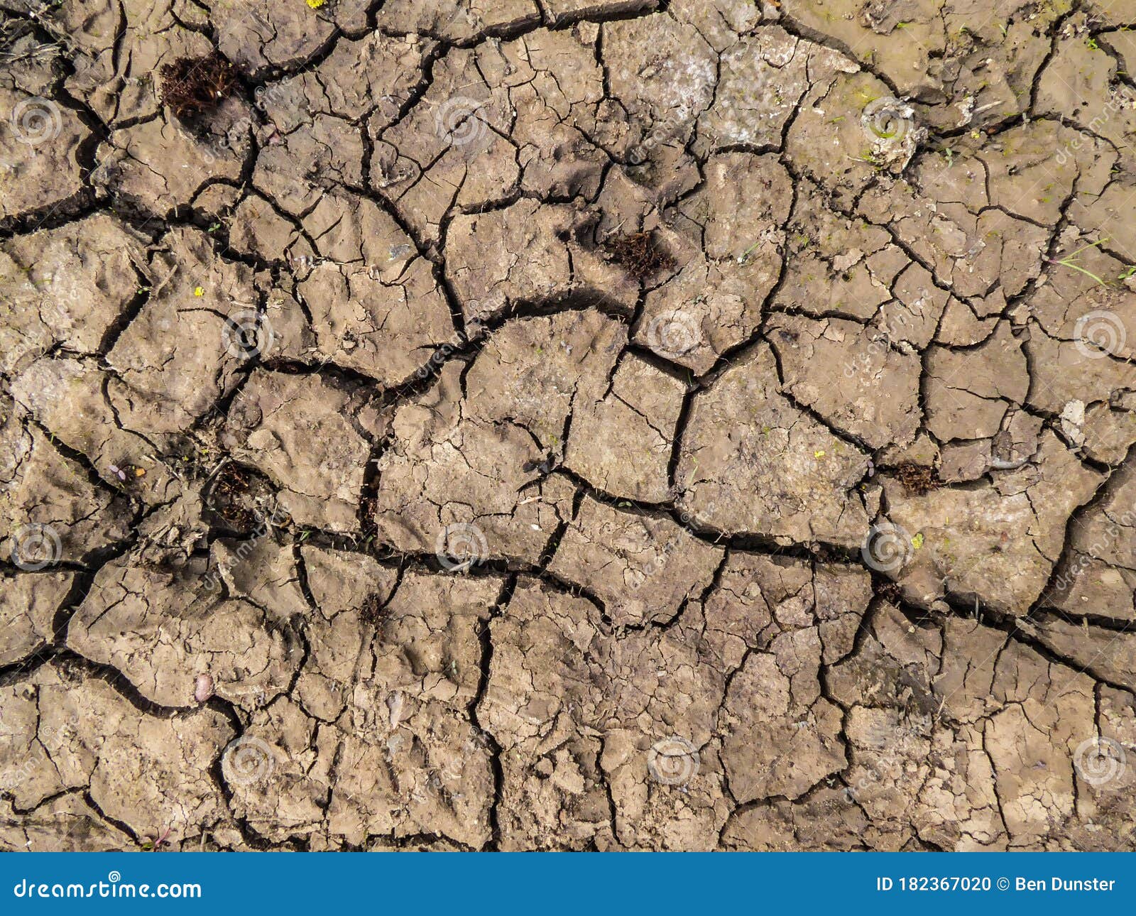 Abstract Cracks Patterns in the Dry Top Soil of a Field Stock Photo ...