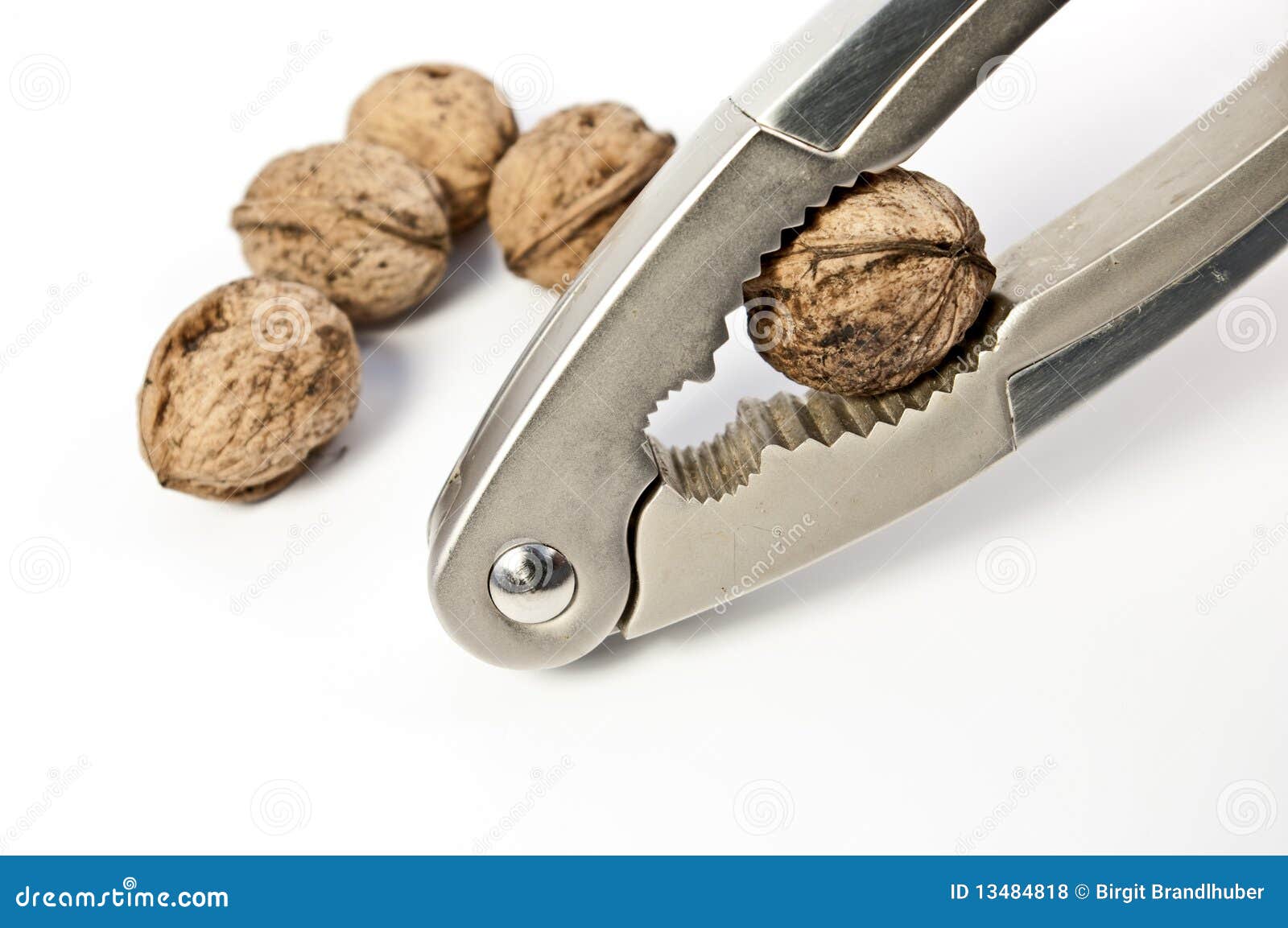 Cracking walnuts stock photo. Image of open, walnut, season - 13484818