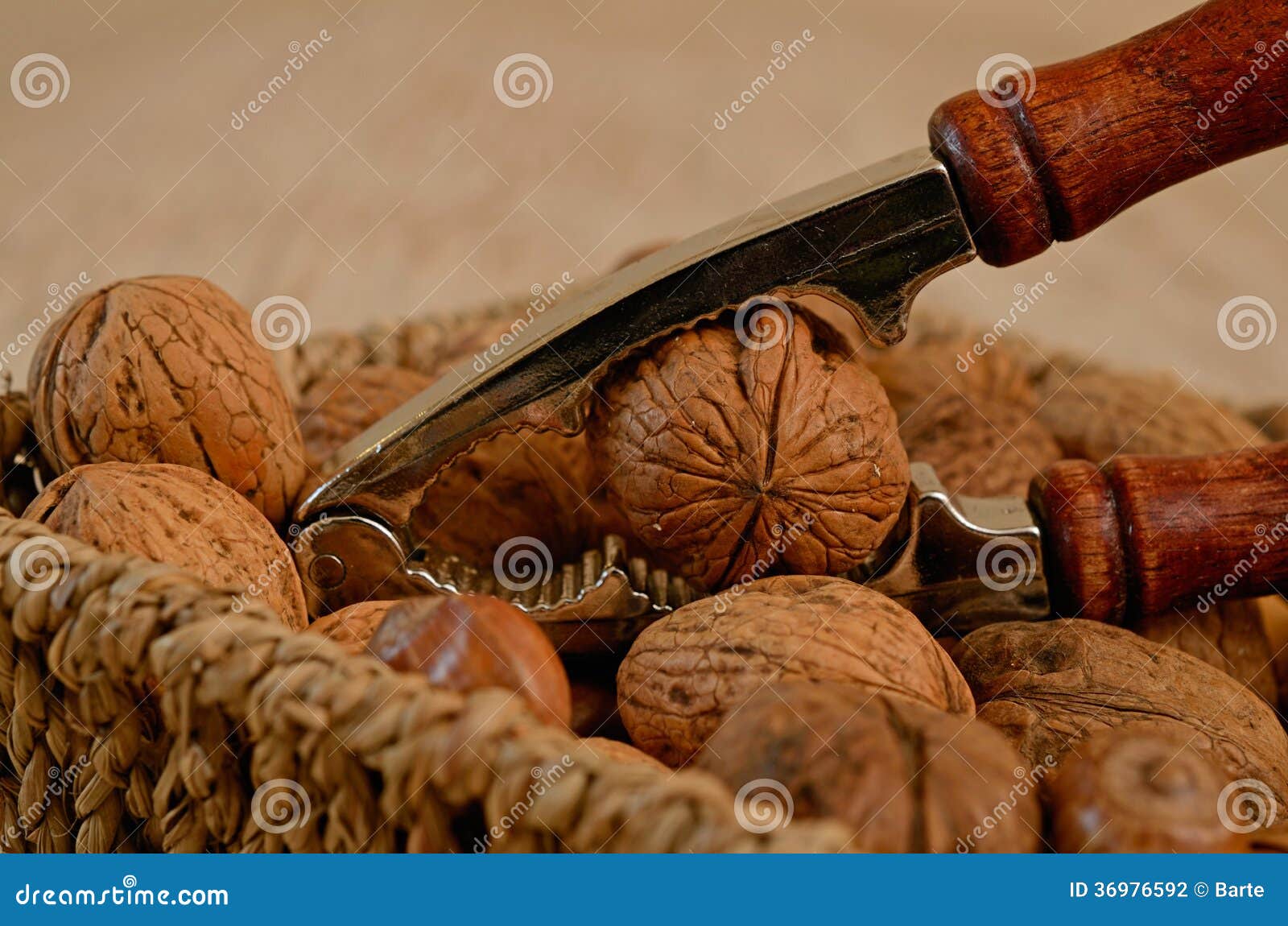 Cracking walnuts stock photo. Image of texture, basket - 36976592