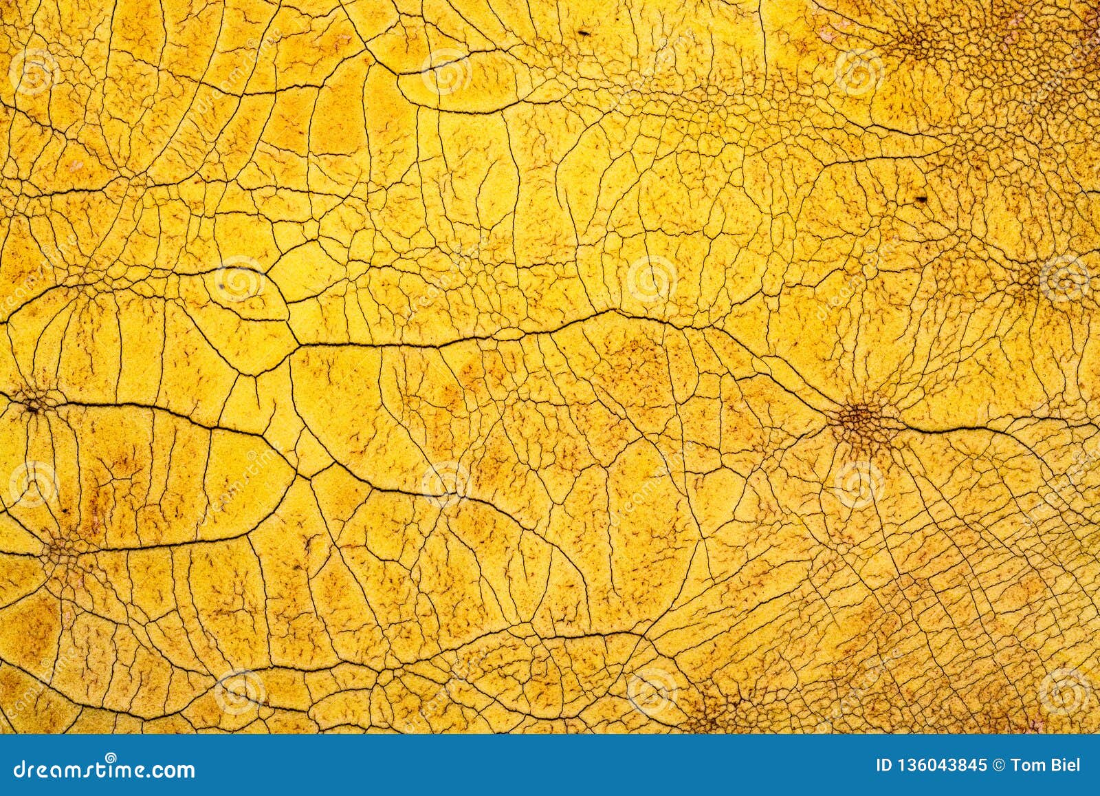 Crackle background texture stock image. Image of damaged - 136043845