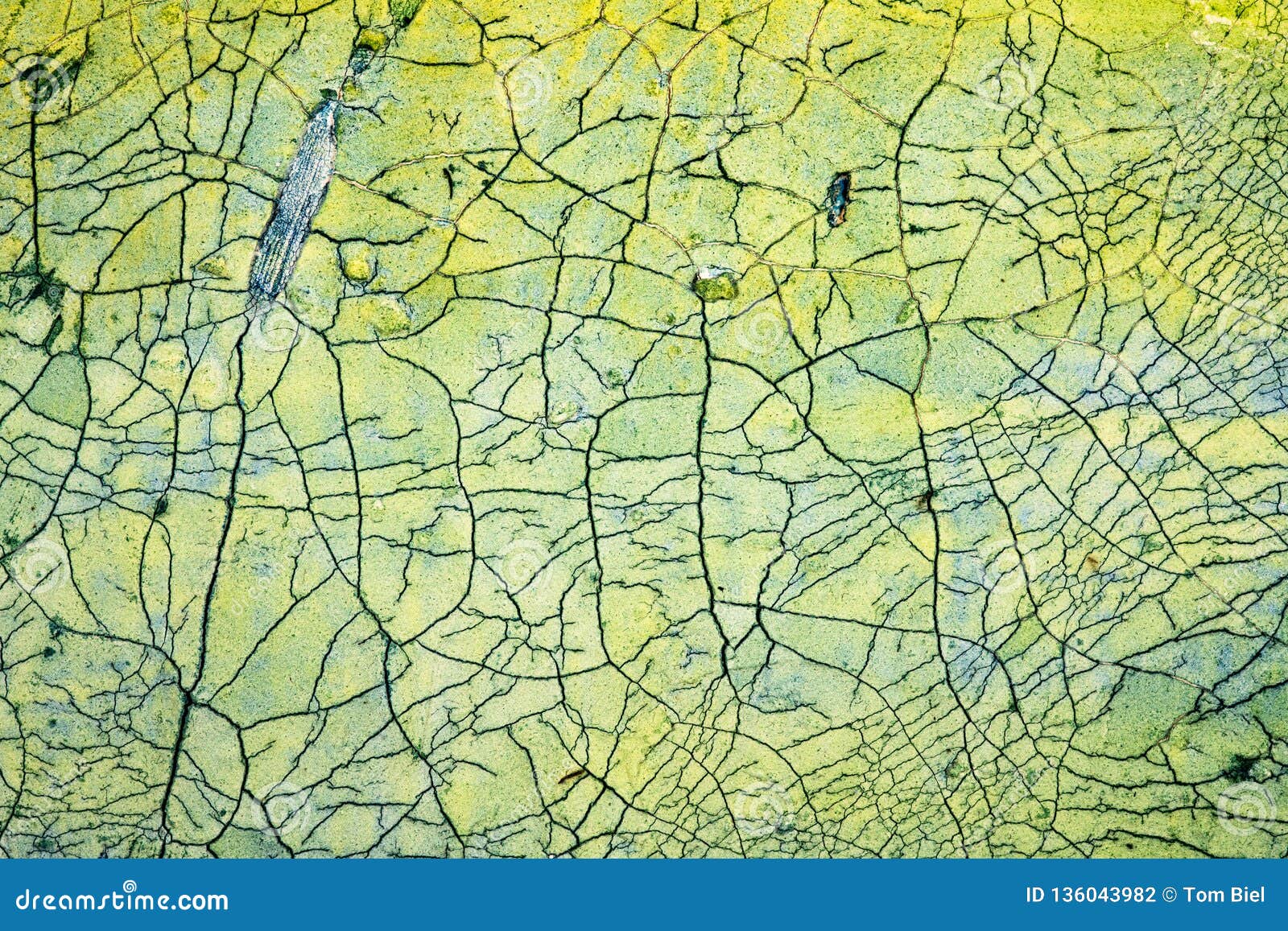 Crackle background texture stock photo. Image of paint - 136043982