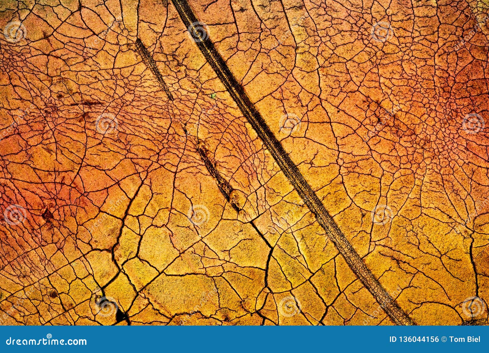 Crackle background texture stock photo. Image of stained - 136044156