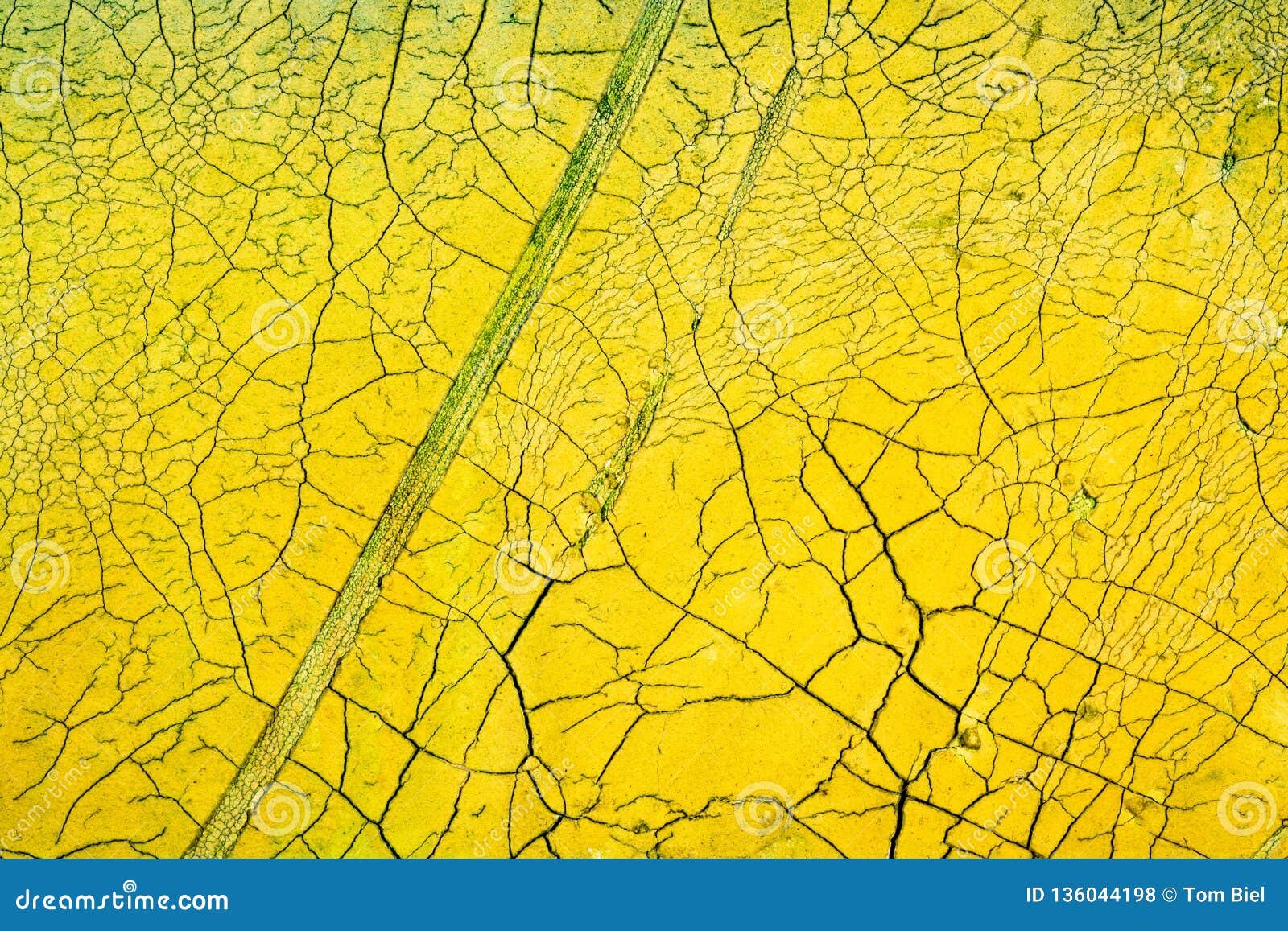 Crackle background texture stock photo. Image of structure - 136044198