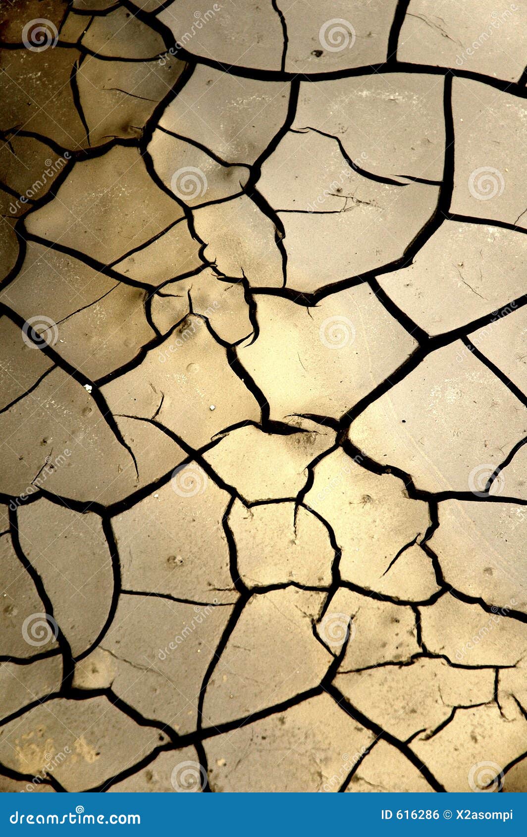 Crackled mud stock photo. Image of abstract, puddle, sand - 616286