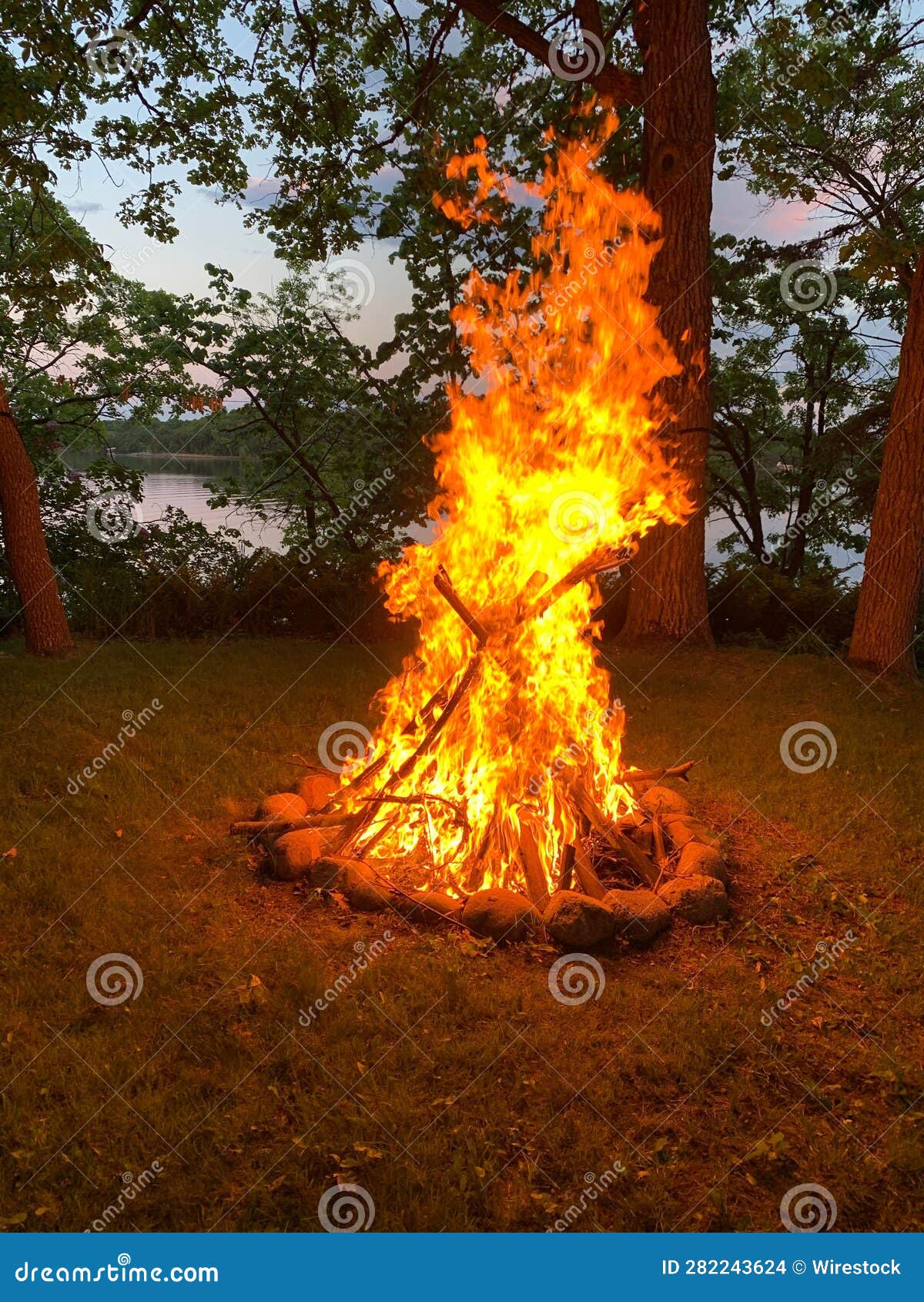 Crackling Campfire Made of Twigs in a Lush Forest Setting, with a Calm ...