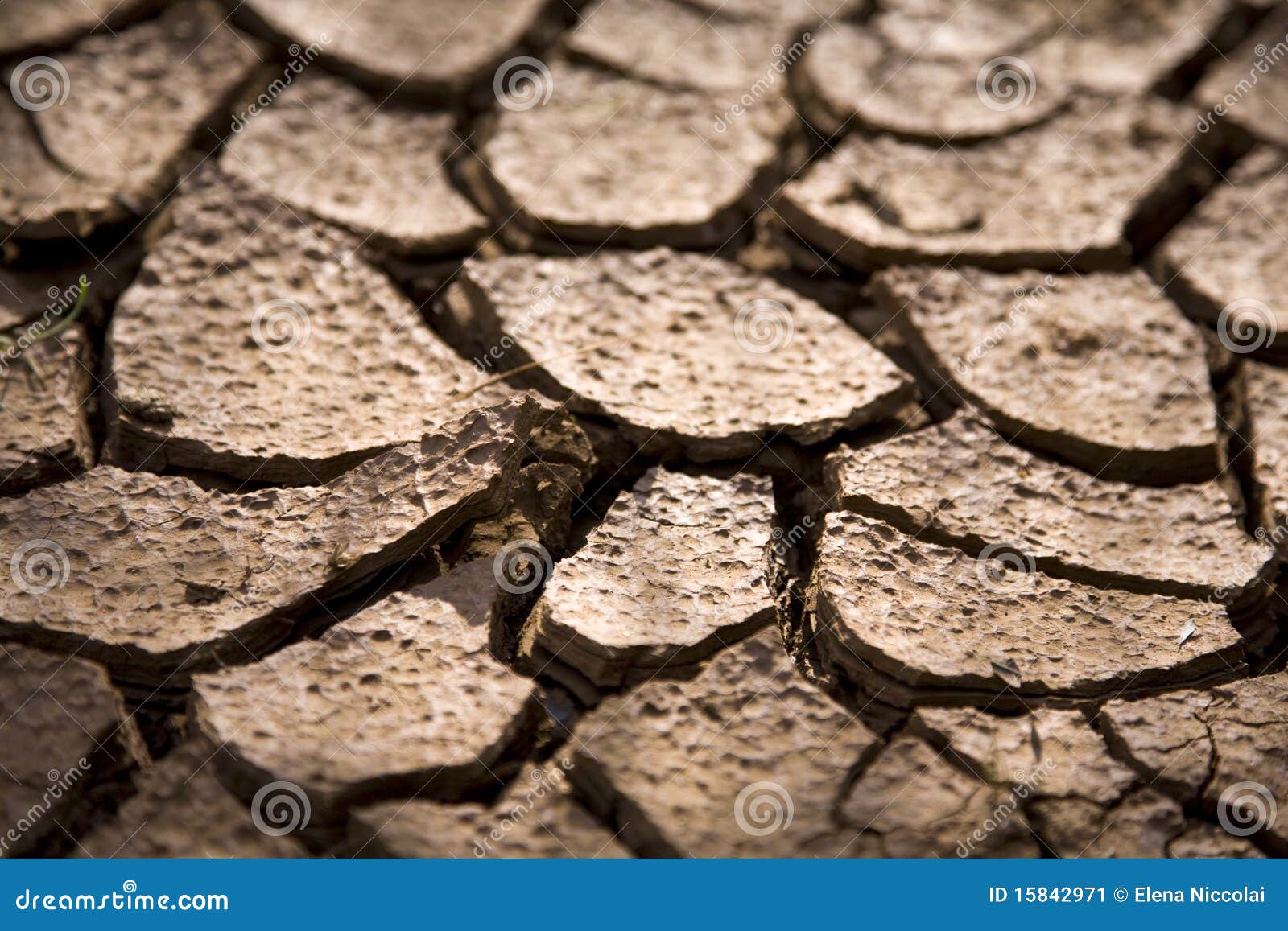 Cracks stock image. Image of land, clay, crack, field - 15842971
