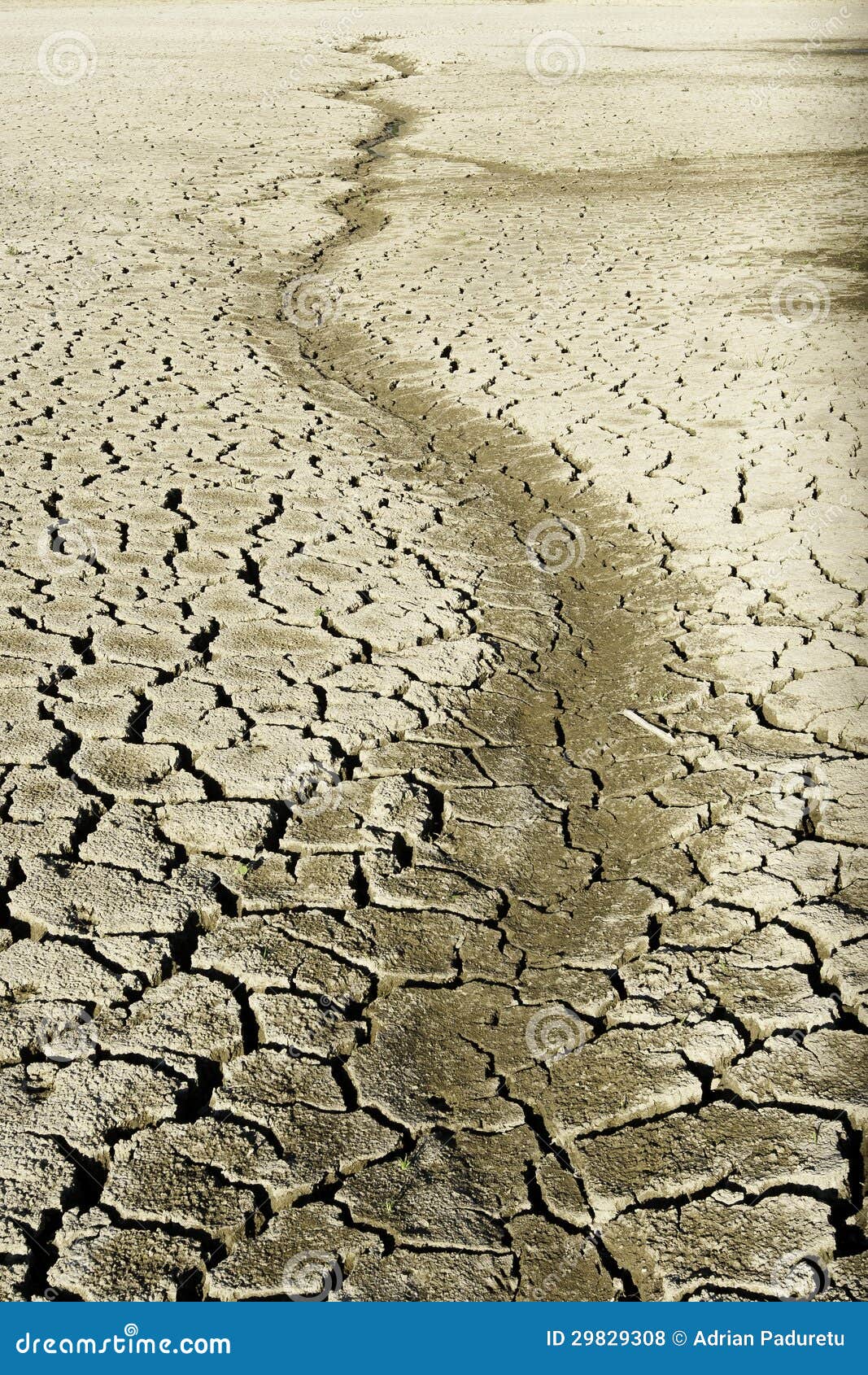 Dryness stock photo. Image of courage, rainlessness, bottom - 29829308
