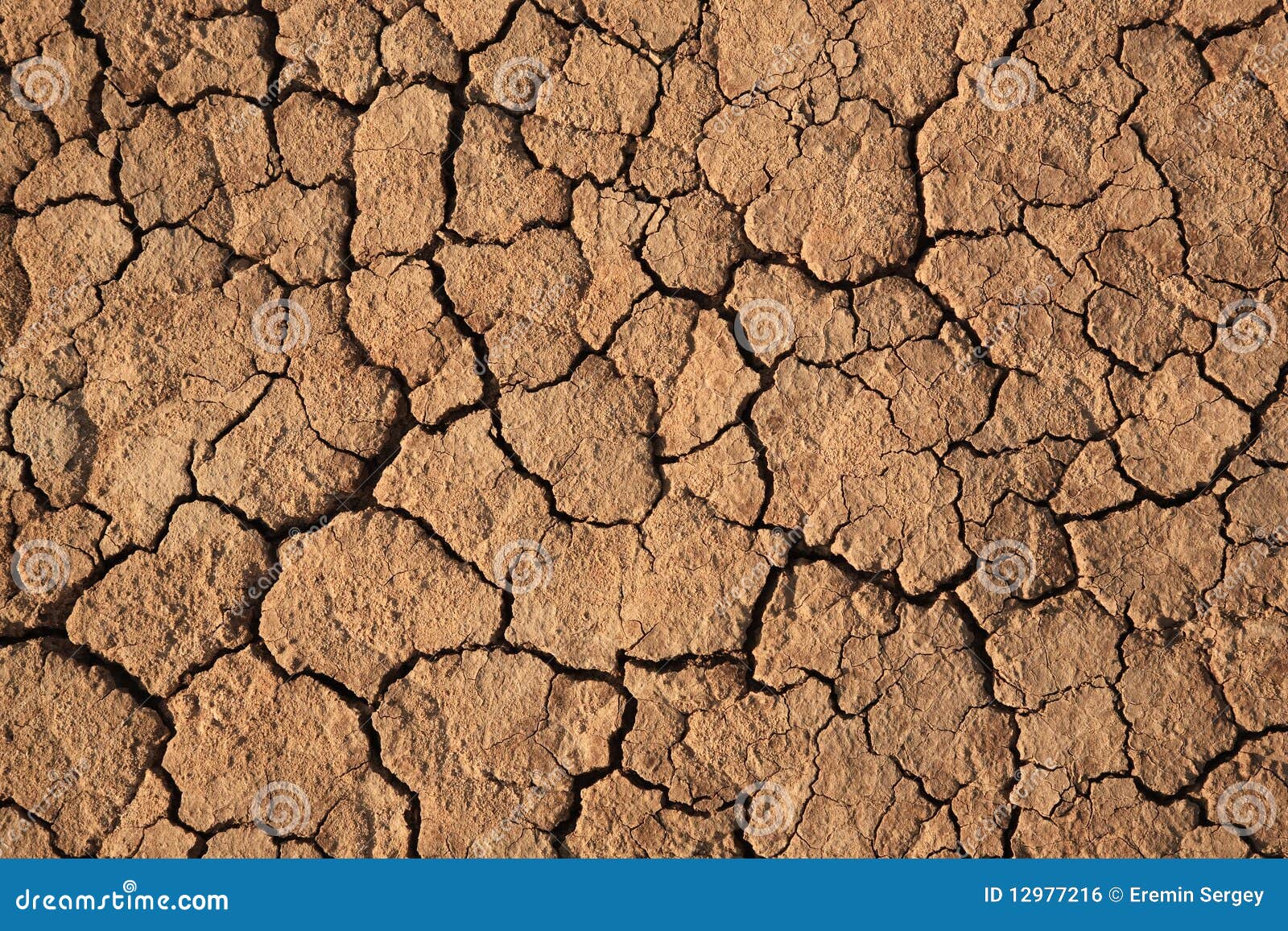 Cracks in a brown ground stock photo. Image of ecology - 12977216