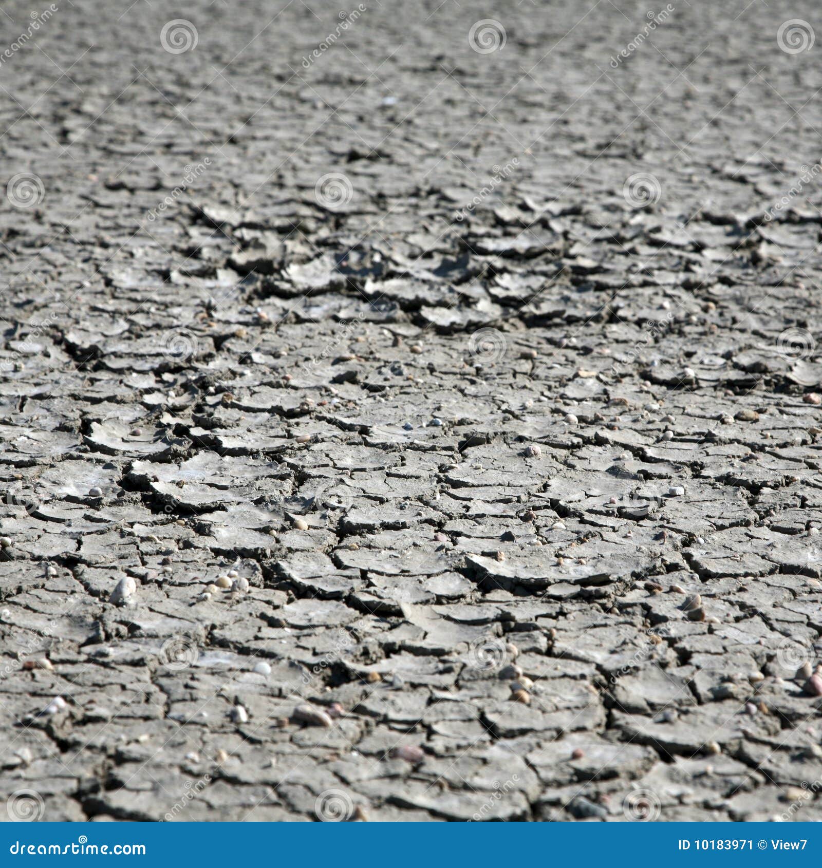 Cracks in dried mud stock image. Image of texture, crevices - 10183971