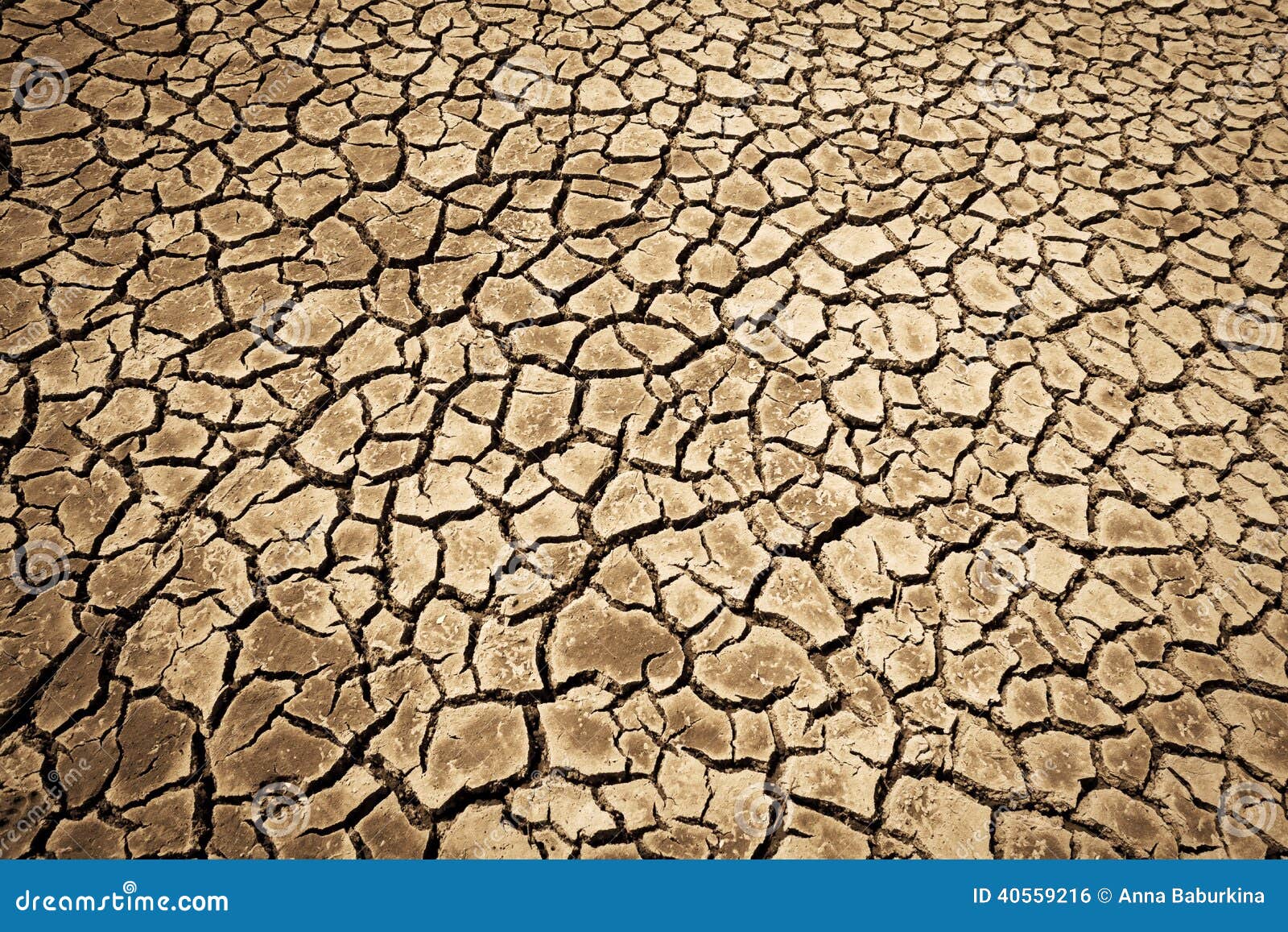 Cracks in the dried soil stock photo. Image of damage - 40559216